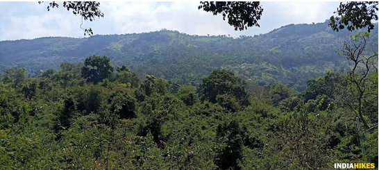 8 Best Trekking Places in Tamil Nadu that you should visit in 2022