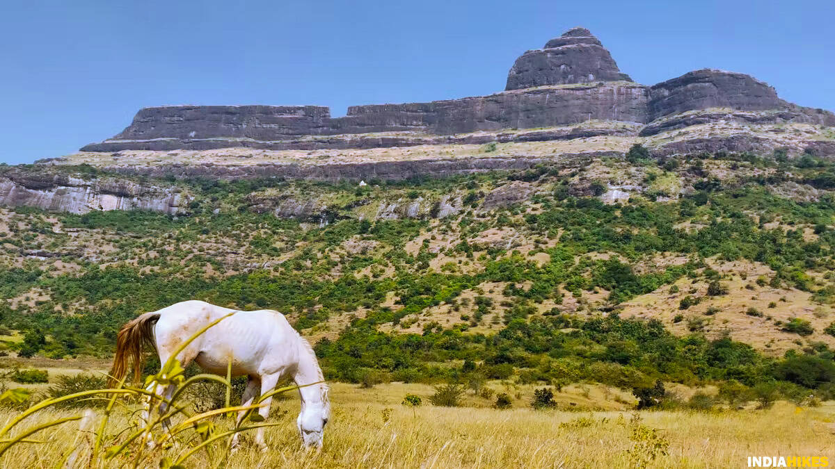 Dhodap Fort Trek