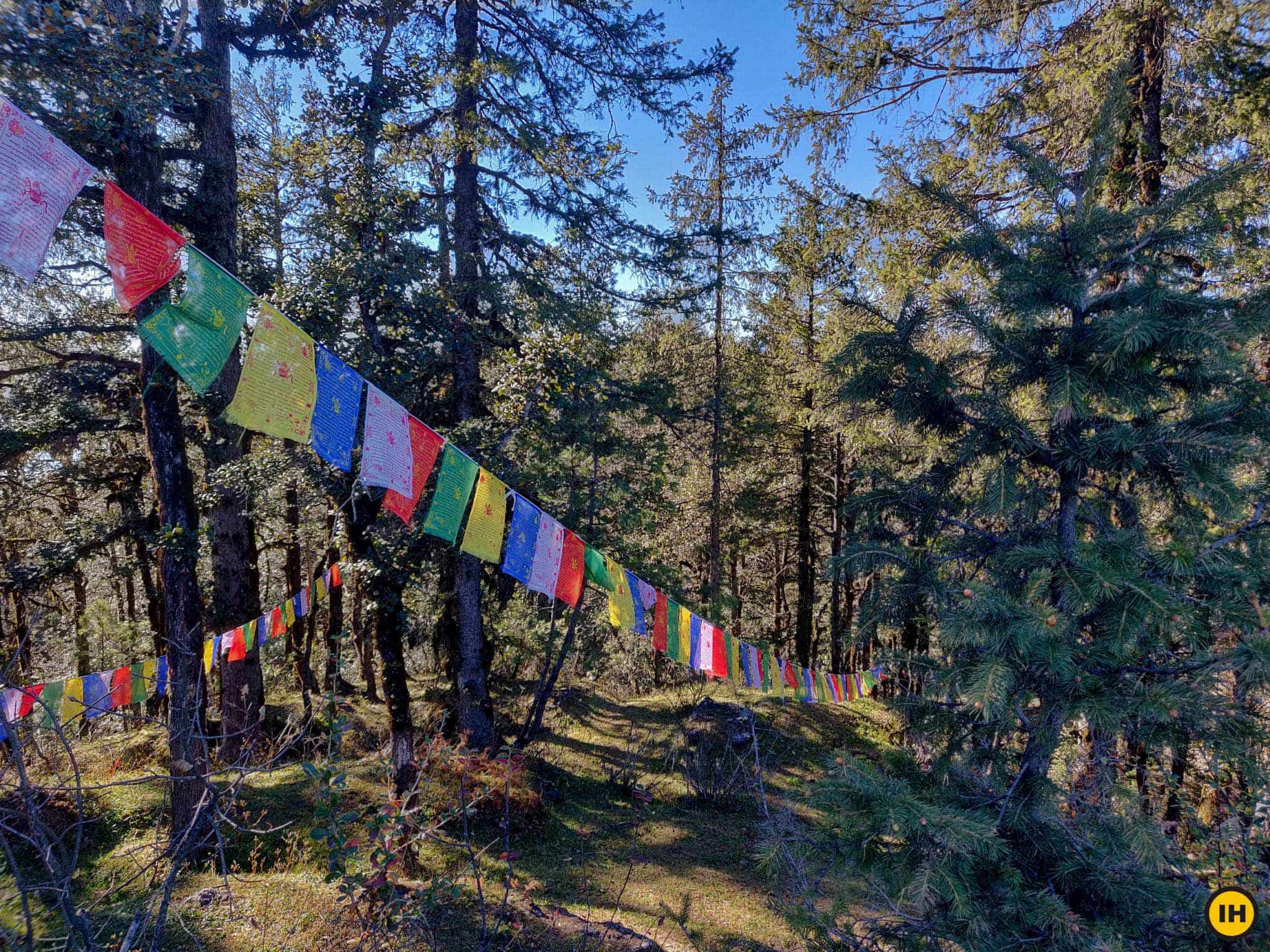 Hatu Peak Trek