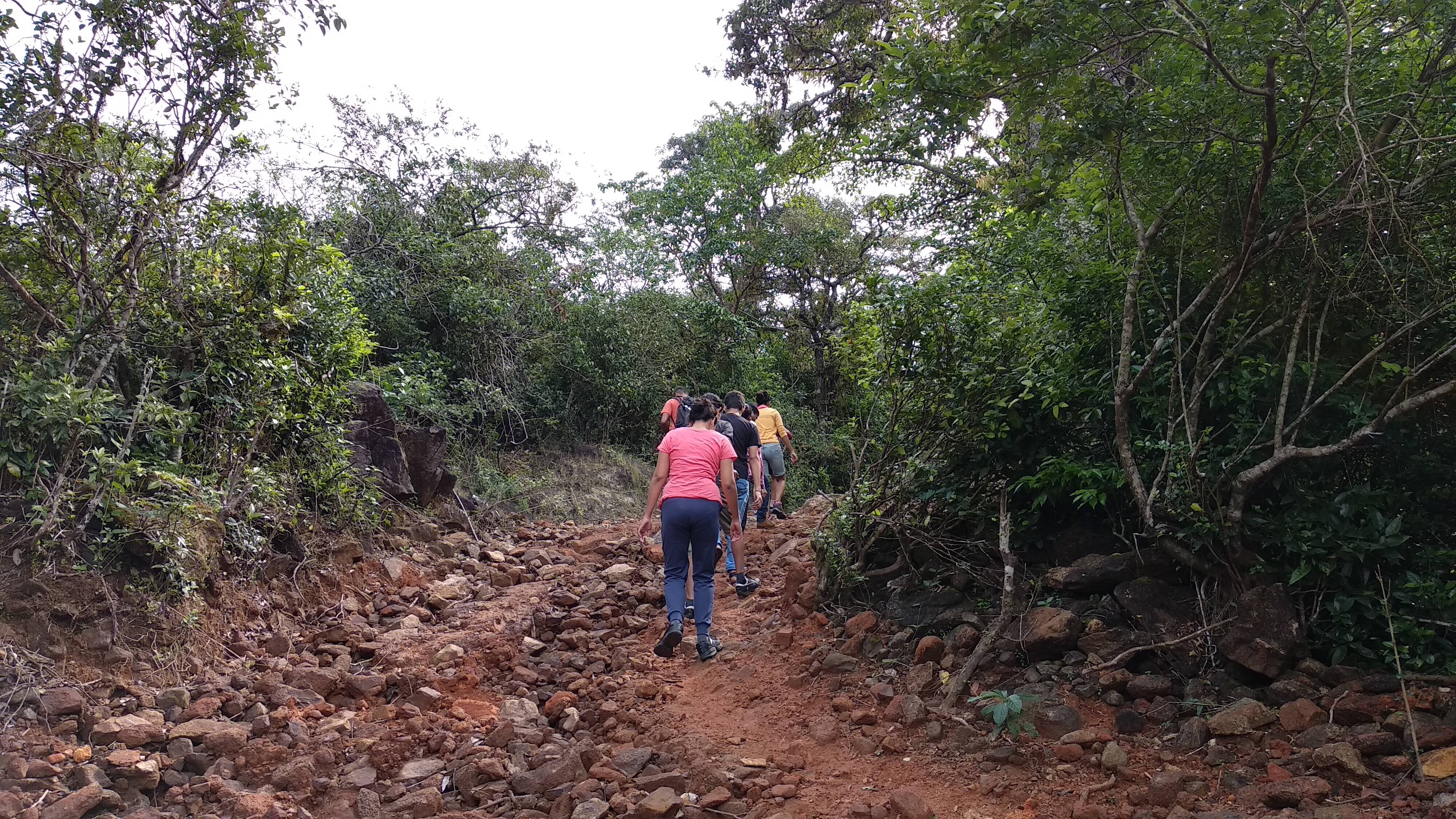 Narasimha Parvatha Trek - Trek to the highest peak in Agumbe