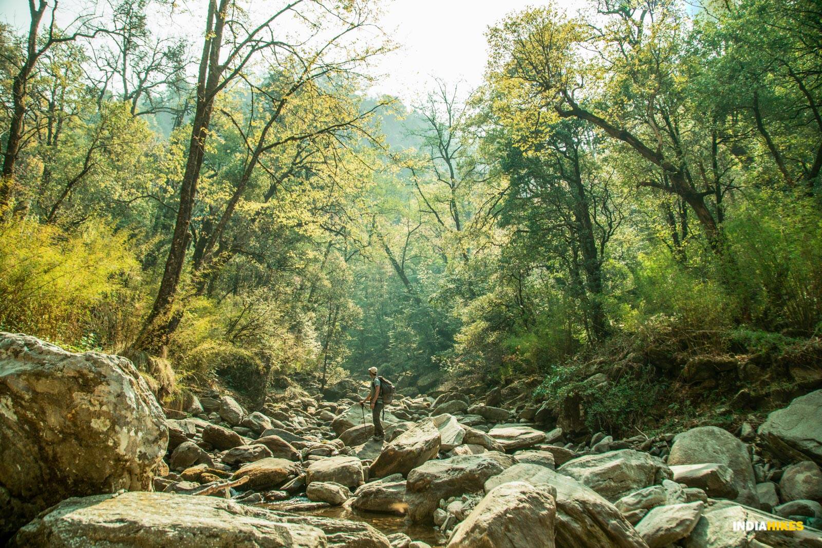 15 Best Treks to do this Spring in the Himalayas in 2024