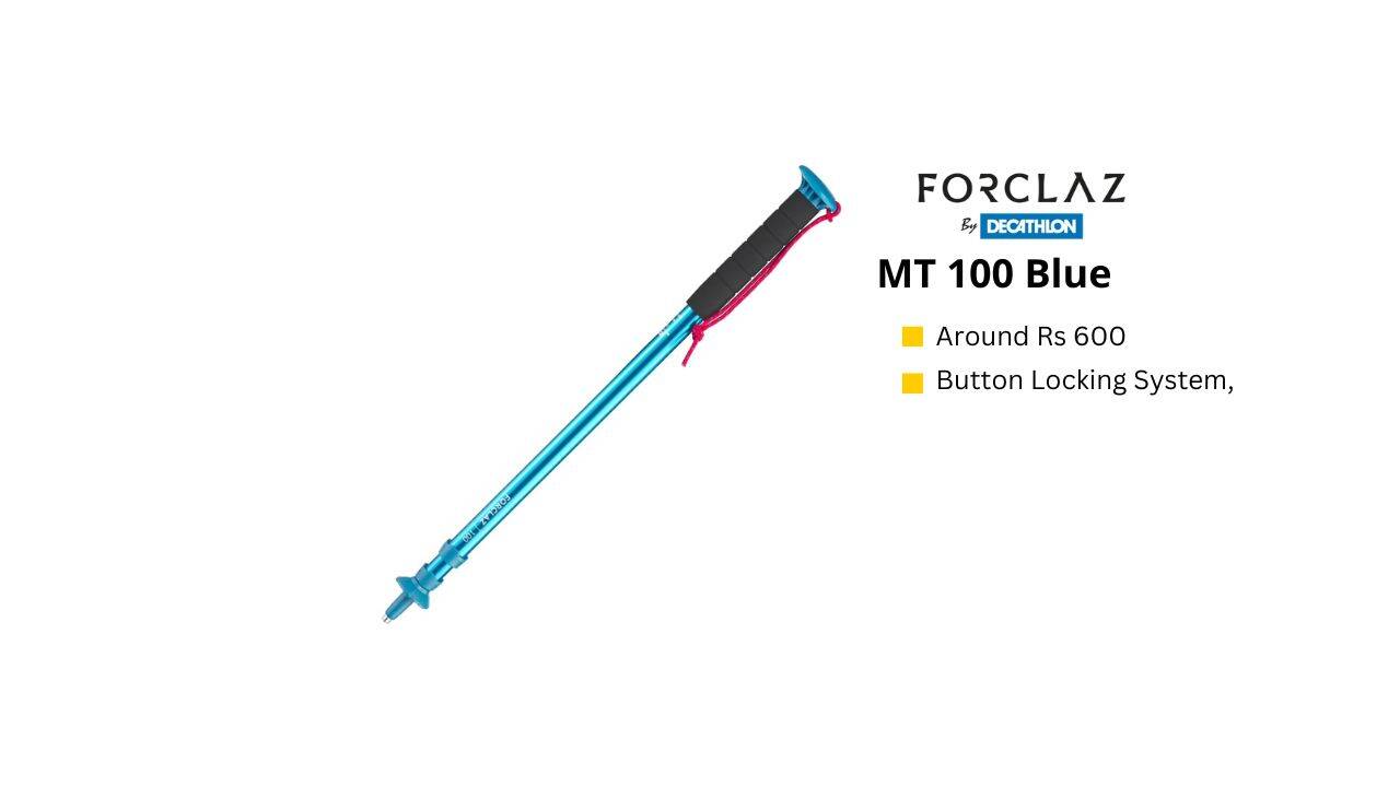 Best Trek Poles You Can Buy From Decathlon: 6 Trek Poles Reviewed