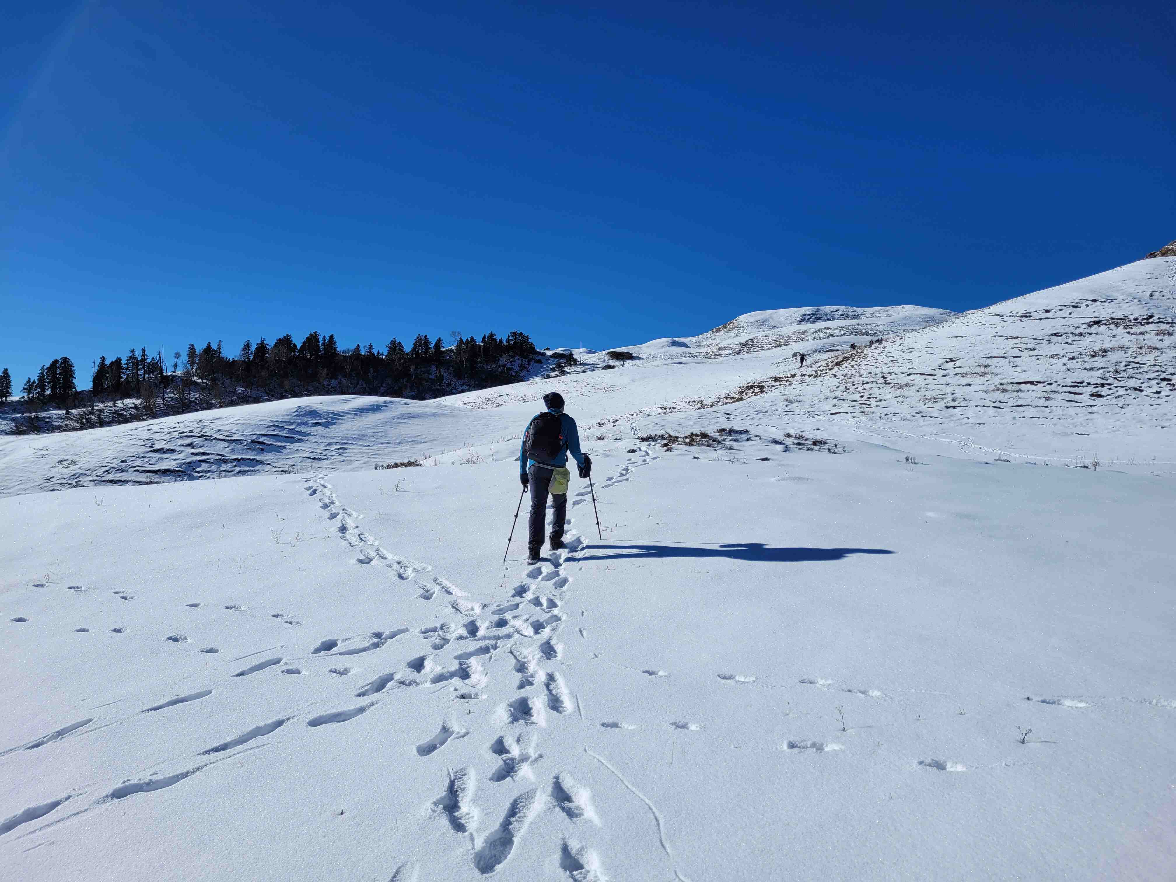 Dayara Bugyal Covered in Snow, Temperatures Drop to -10°C