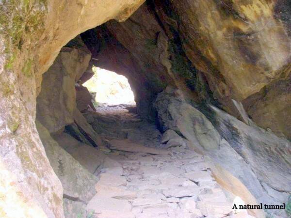 Nanda Devi Base Camp Trek