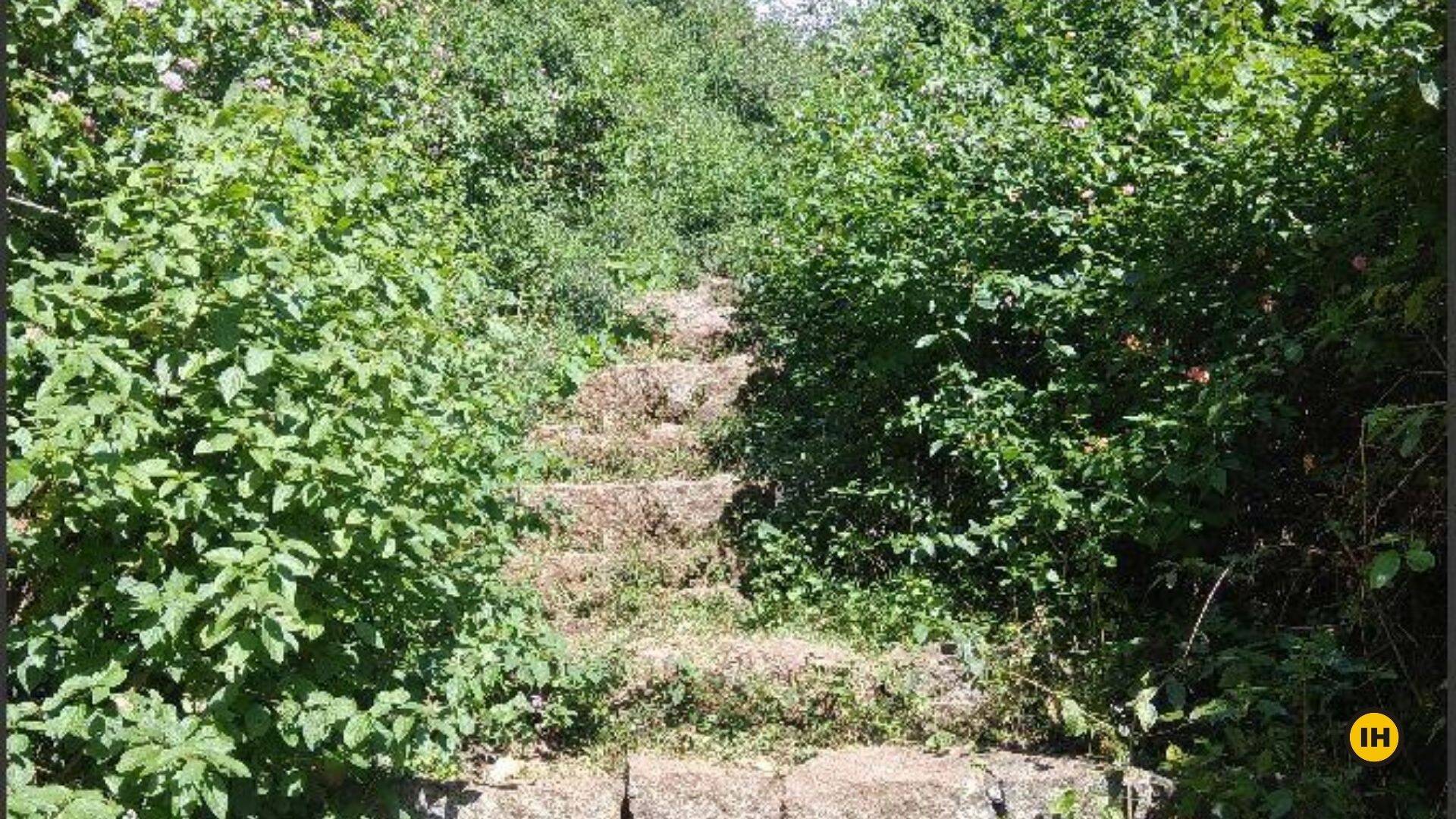 Swamimalai Hill Trek