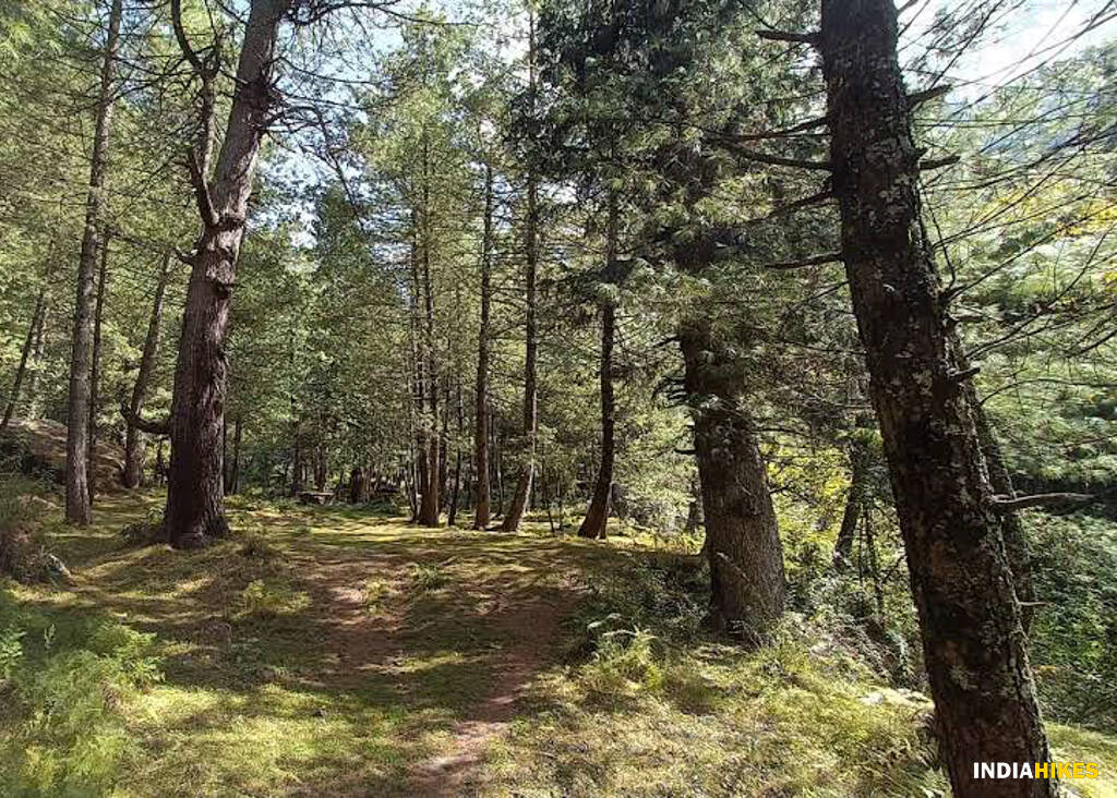 Manali Kaisdhar Trek 2024 - An ideal trek for beginners and family