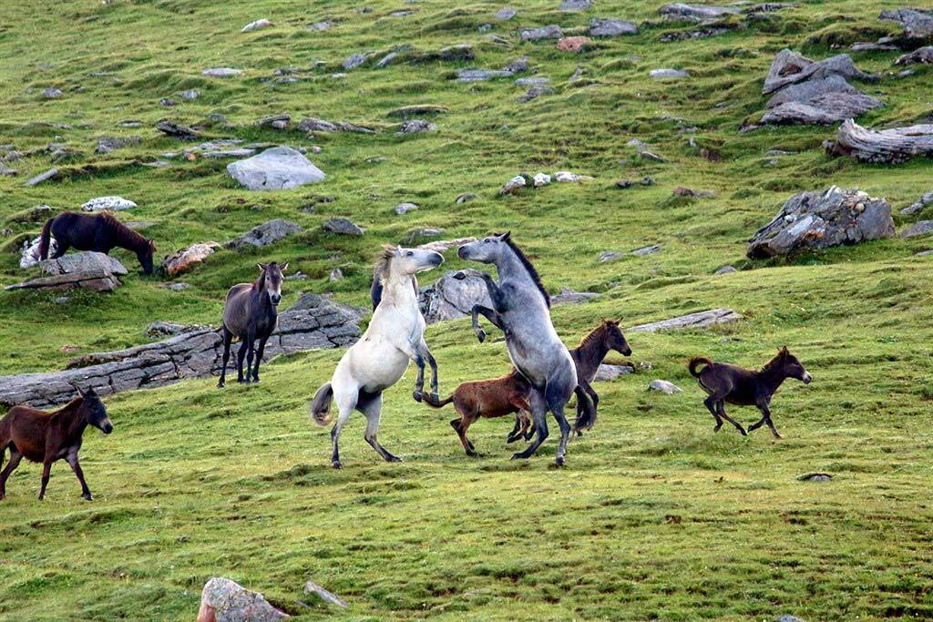 August 2016 Photo Contest - Results out!