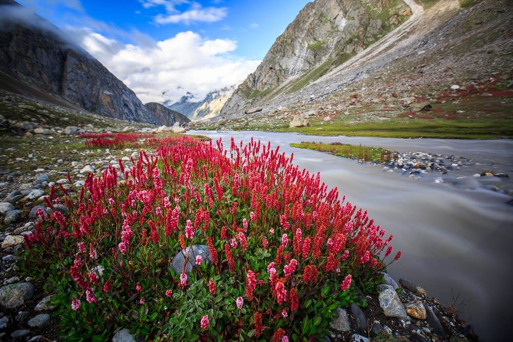 August 2016 Photo Contest - Results out!