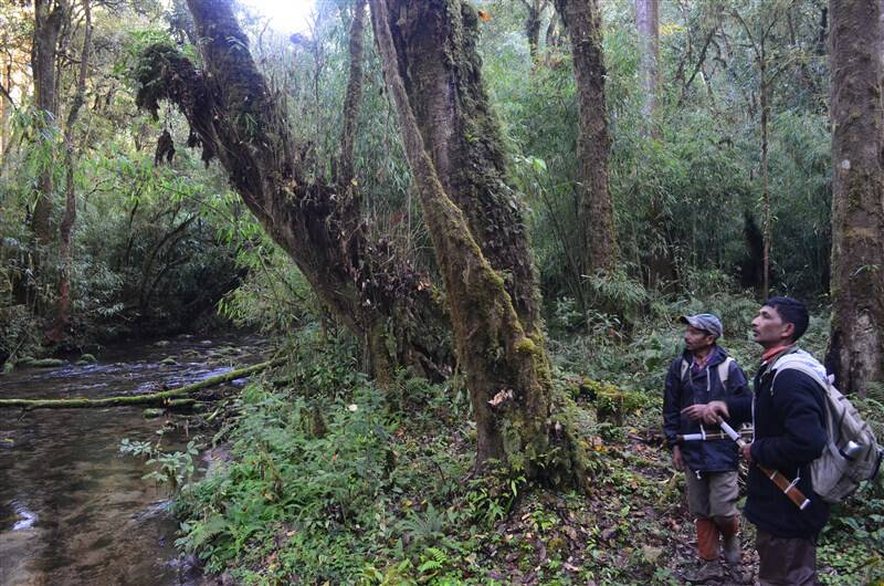 Talle Valley Trek