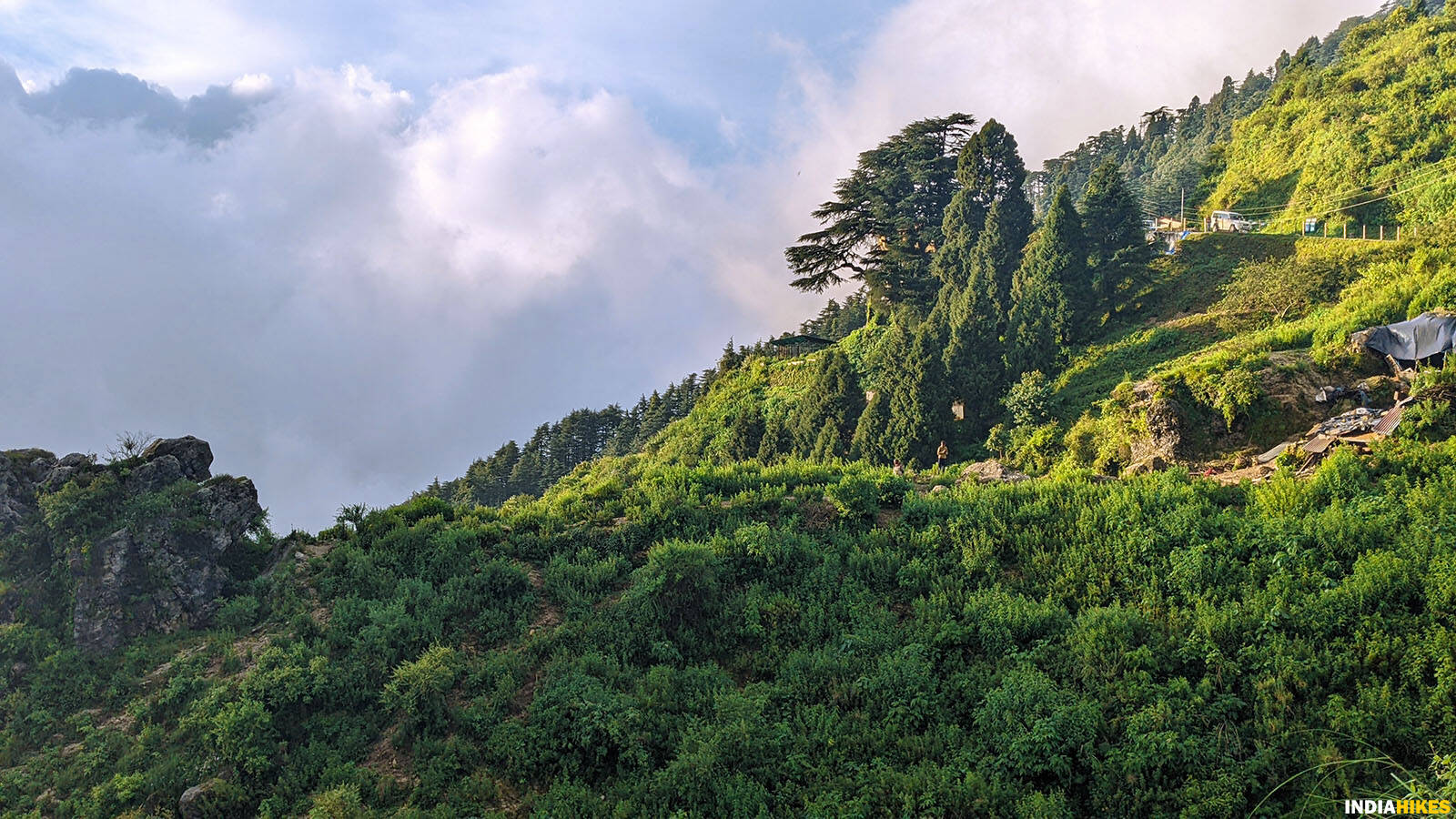 Landour – Lal Tibba Trek - Trek to the highest point of Mussoorie