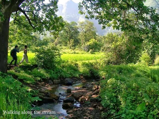 Ahupe Ghat Trek