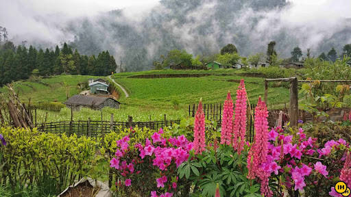 20 Never-seen-before photos of Sandakphu
