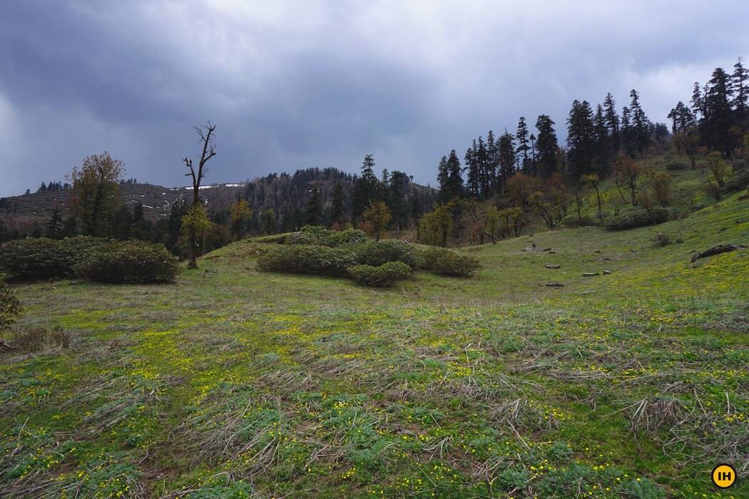 Indiahikes Opens A New Trek - The Phulara Ridge Trek!