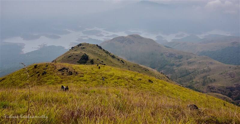 6 Great Treks in Wayanad You Can't Miss