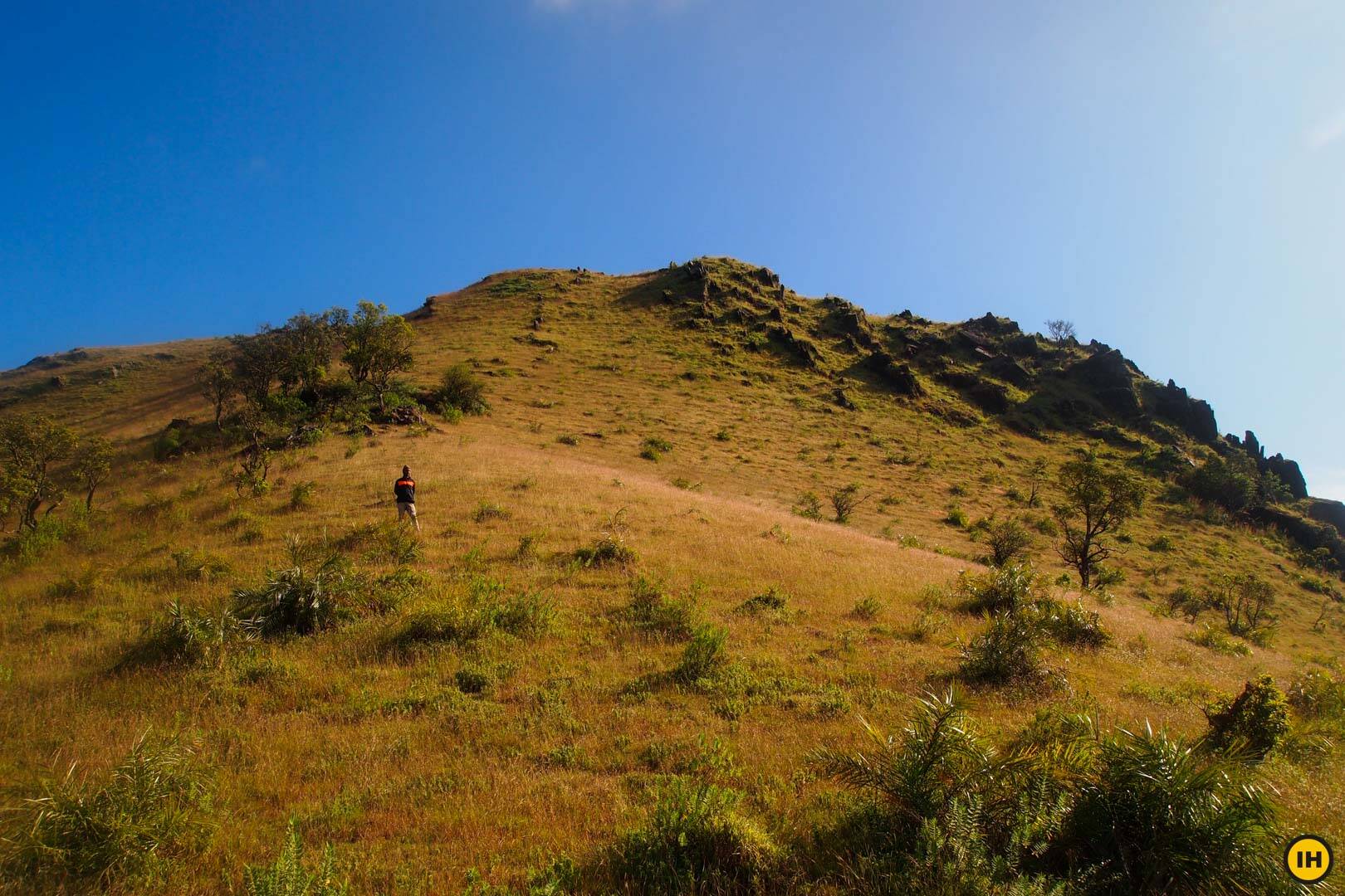 Aane Gudda Trek