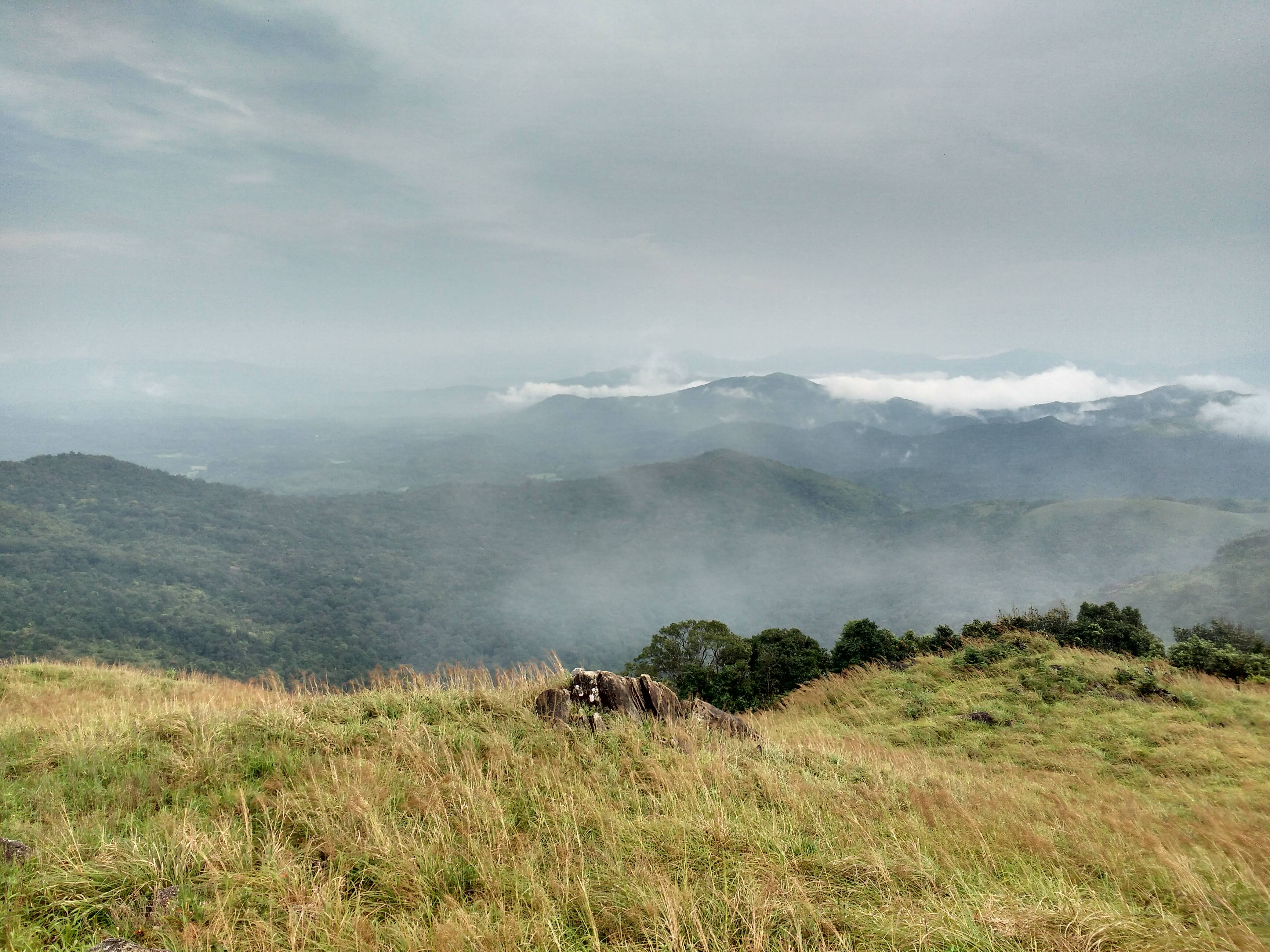Narasimha Parvatha Trek - Trek to the highest peak in Agumbe