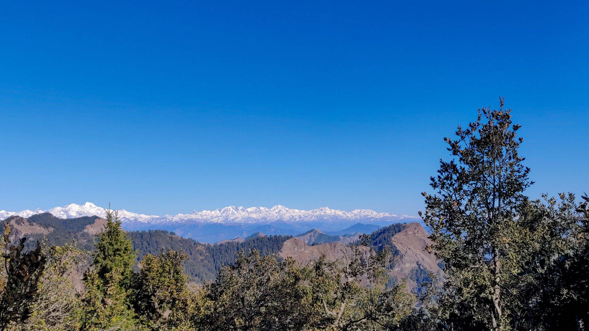 We've Opened A New Weekend Trek Near Dehradun!