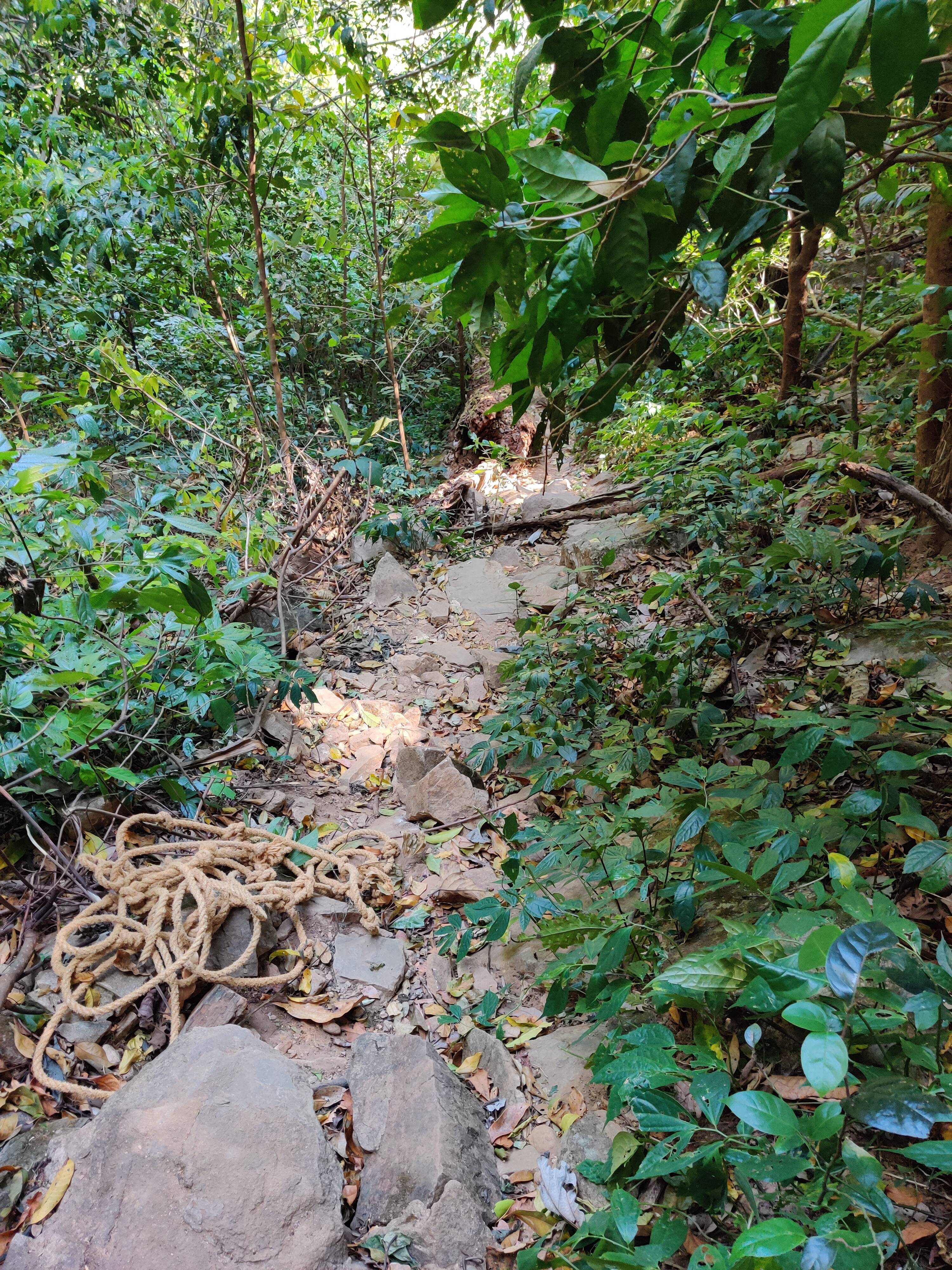 Dabbe Falls Trek - Trek to a Hidden Waterfall near Jog Falls