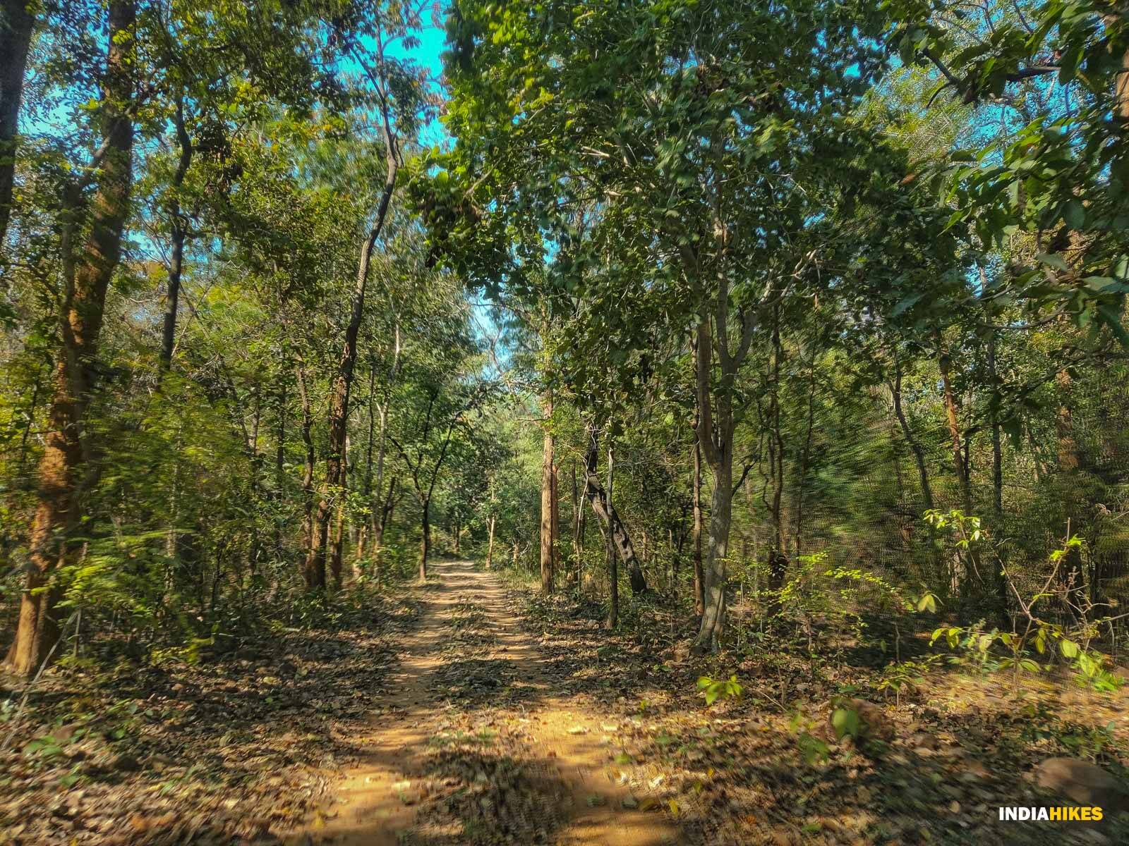 Odisha Debrigarh Sanctuary Trek