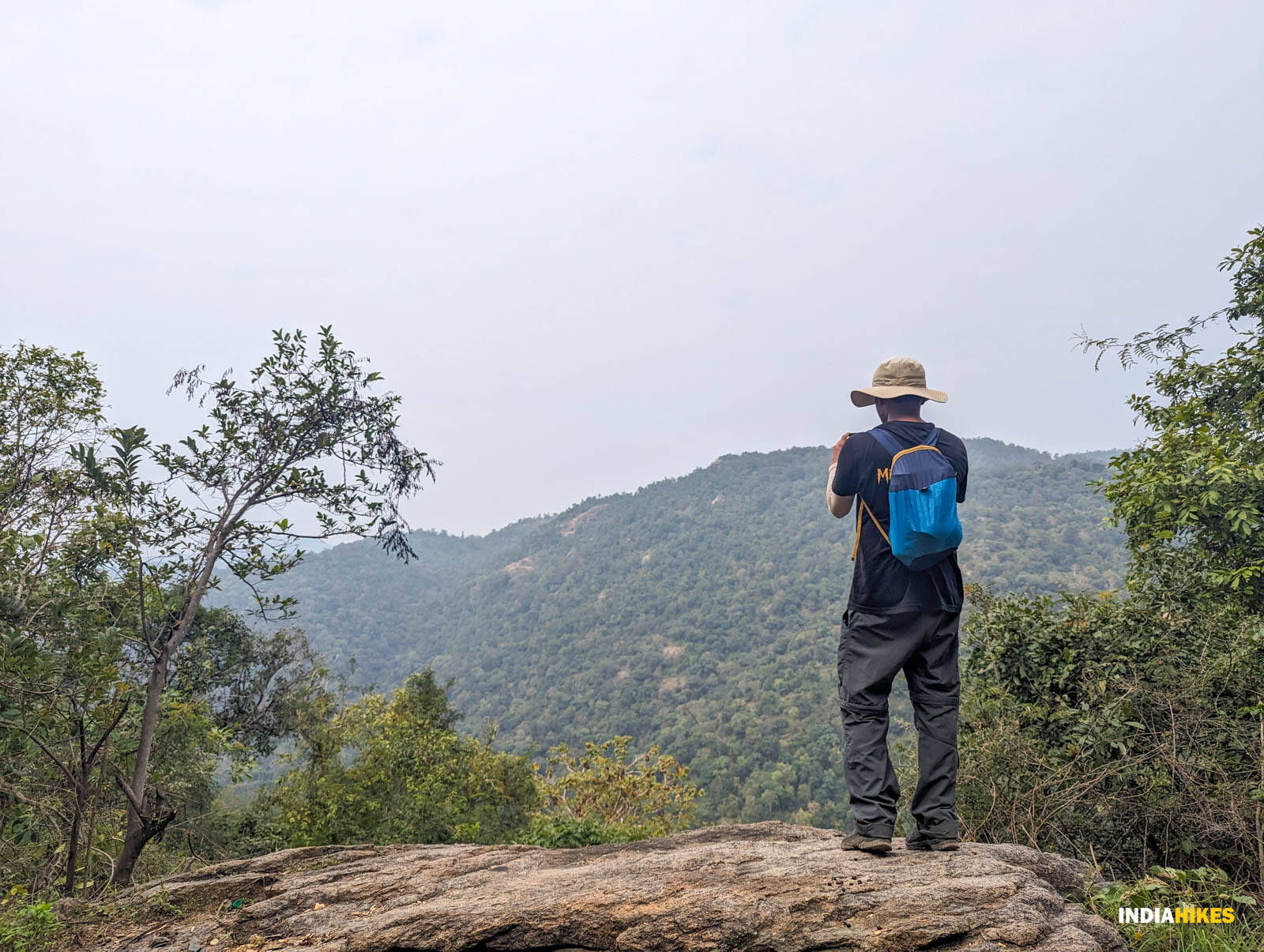 Vellore Amirthi Forest Trek 2024 - Treks In Tamil Nadu - Indiahikes