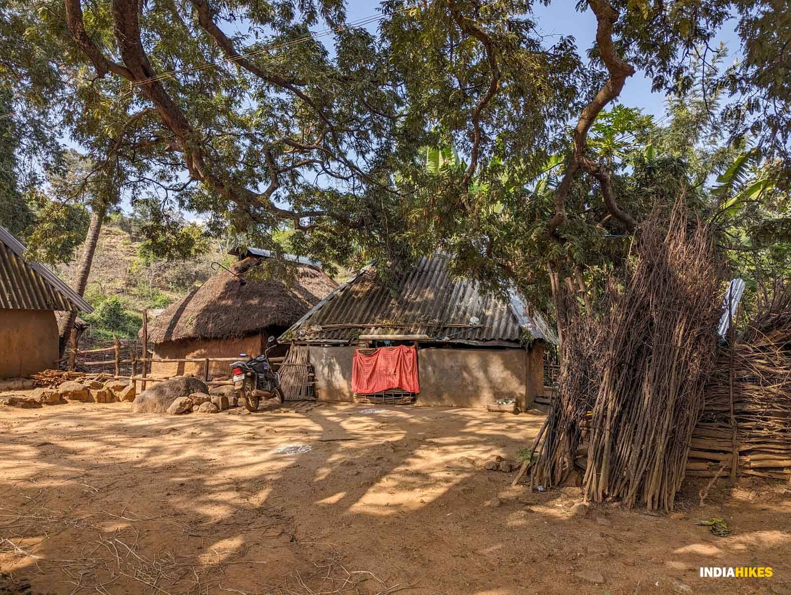 Vellore Amirthi Forest Trek 2024 - Treks In Tamil Nadu - Indiahikes
