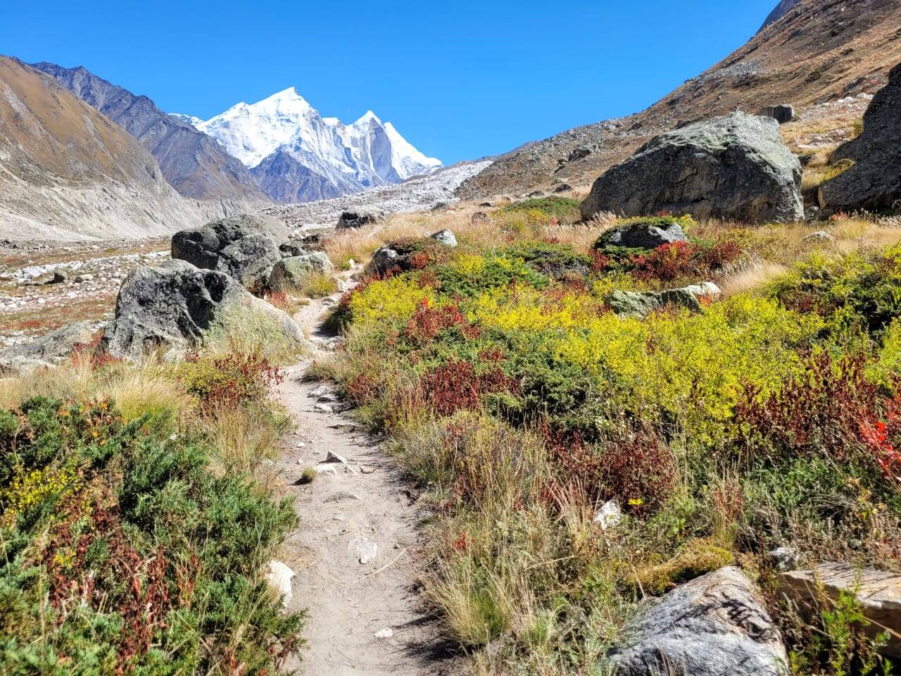 Trekkers witness jaw-dropping mountain views from Gaumukh Tapovan trek