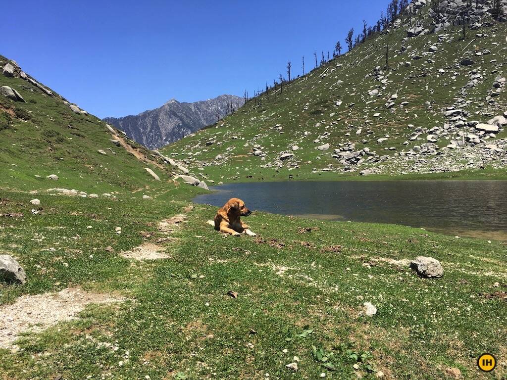 12 Weekend Treks in the Himalayas from Delhi