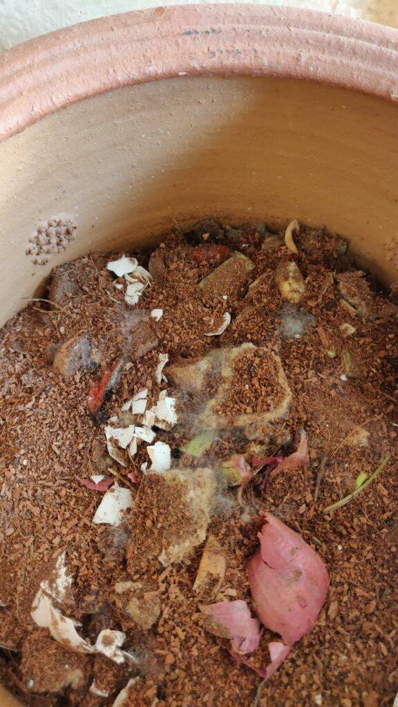 9 Tips From Our Experience To Make Great Compost