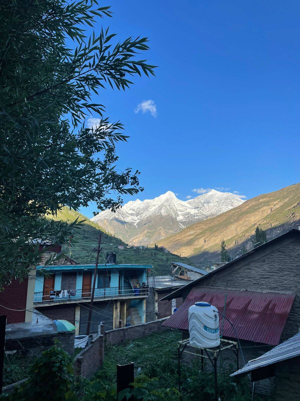 A Photo Story of Miyar Valley