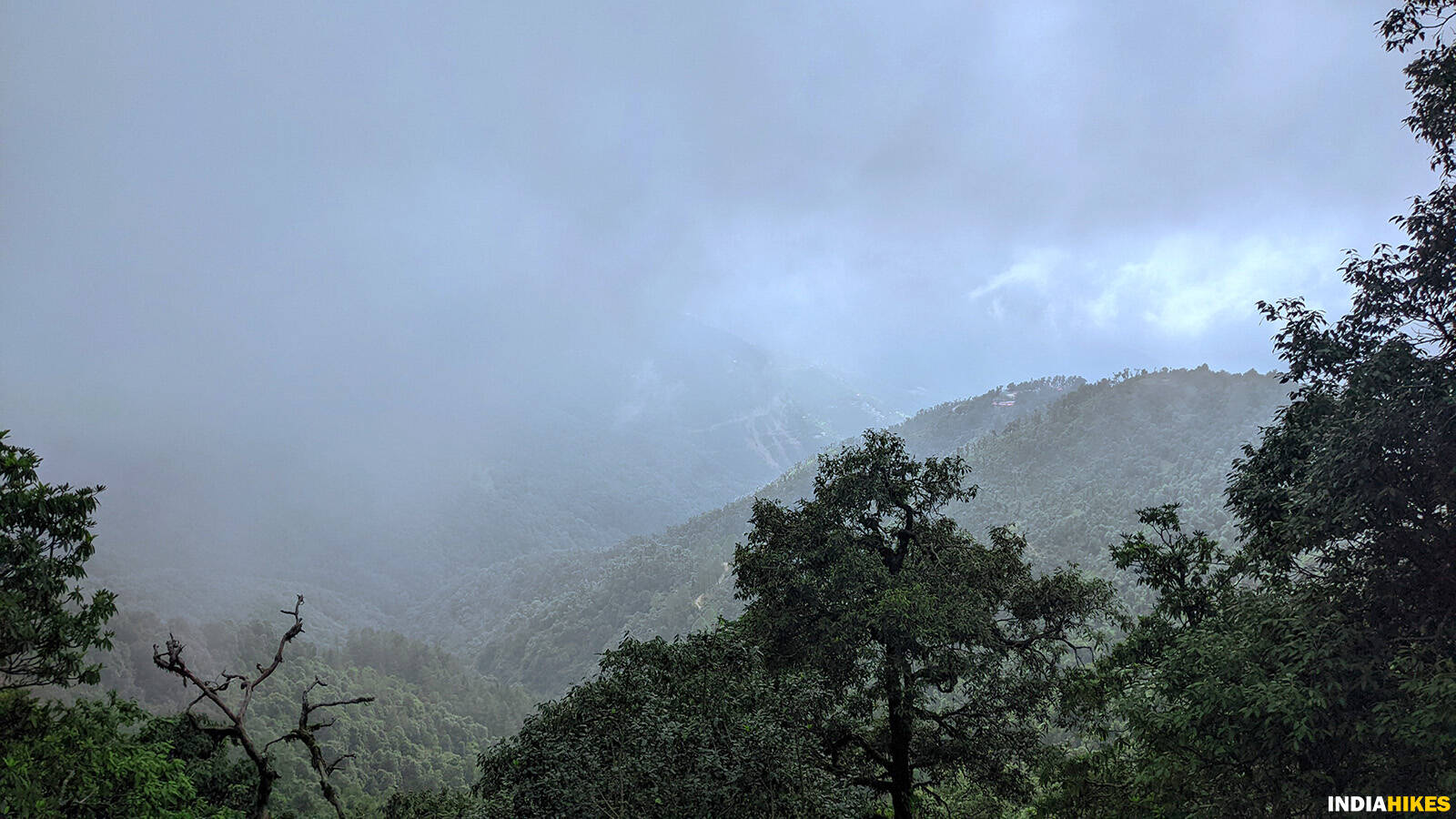 Landour – Lal Tibba Trek - Trek to the highest point of Mussoorie