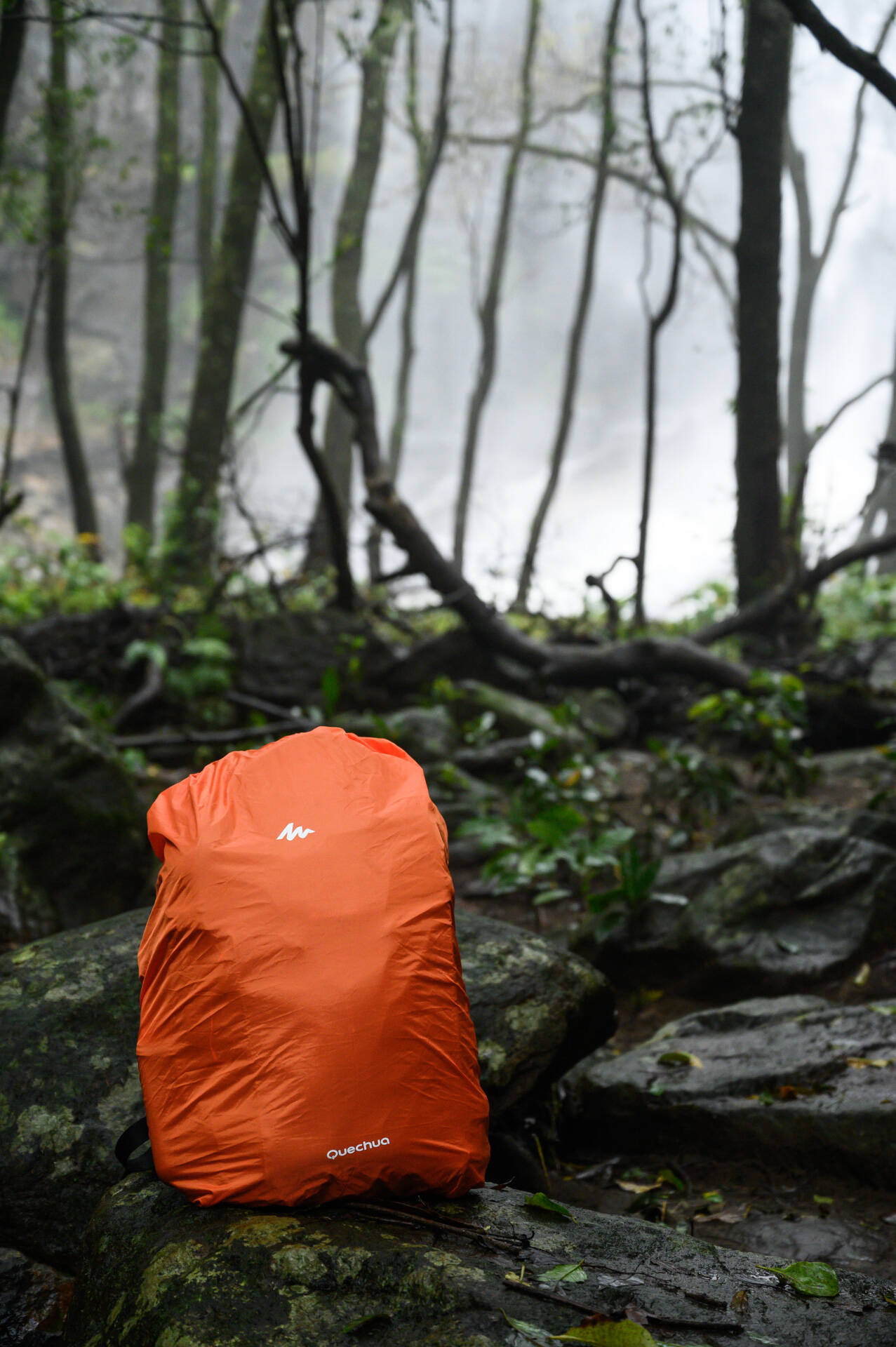 Thoothor Waterfall- Trek to a Hidden Gem near Kodaikanal