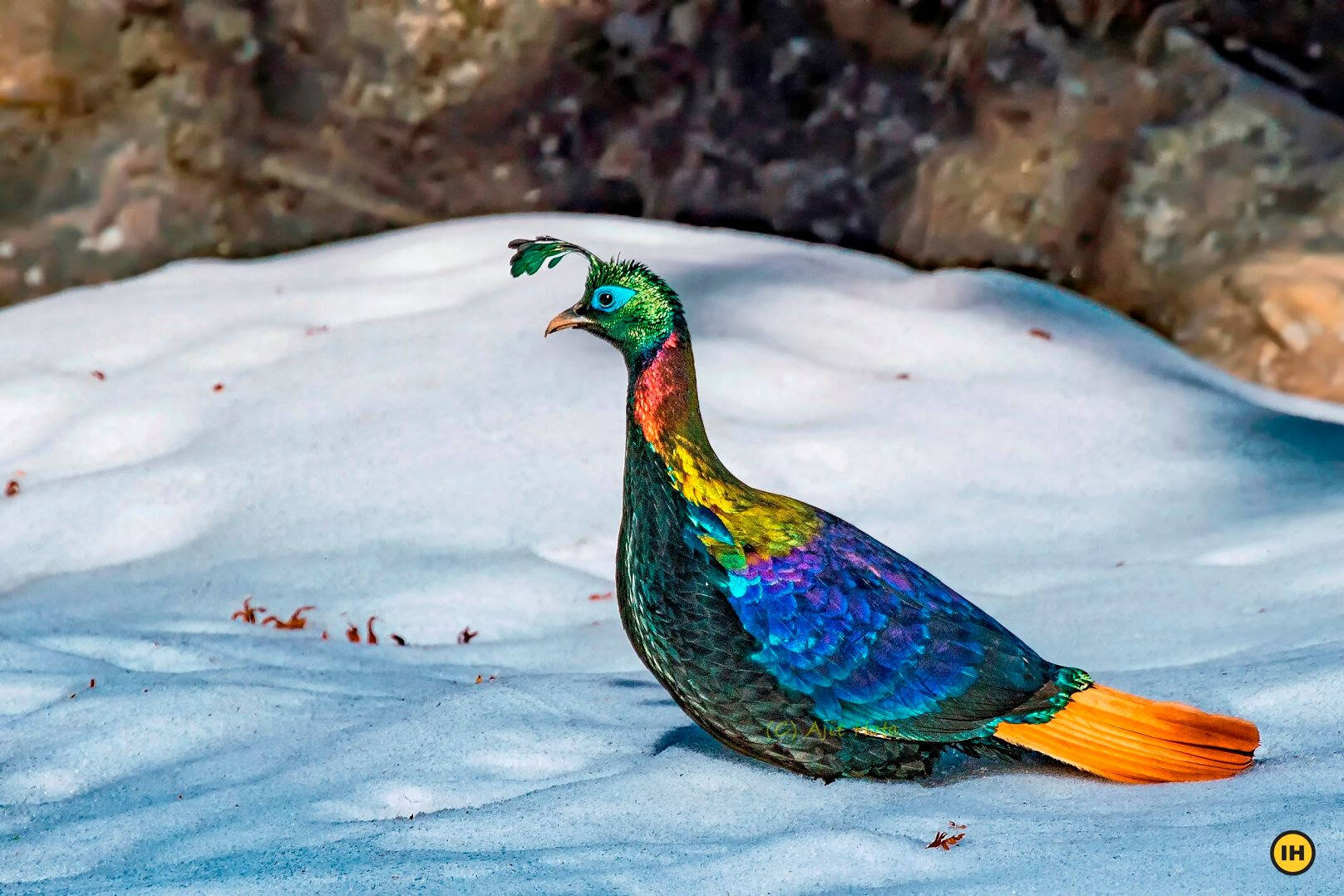 15 Best Treks to do this Spring in the Himalayas in 2024