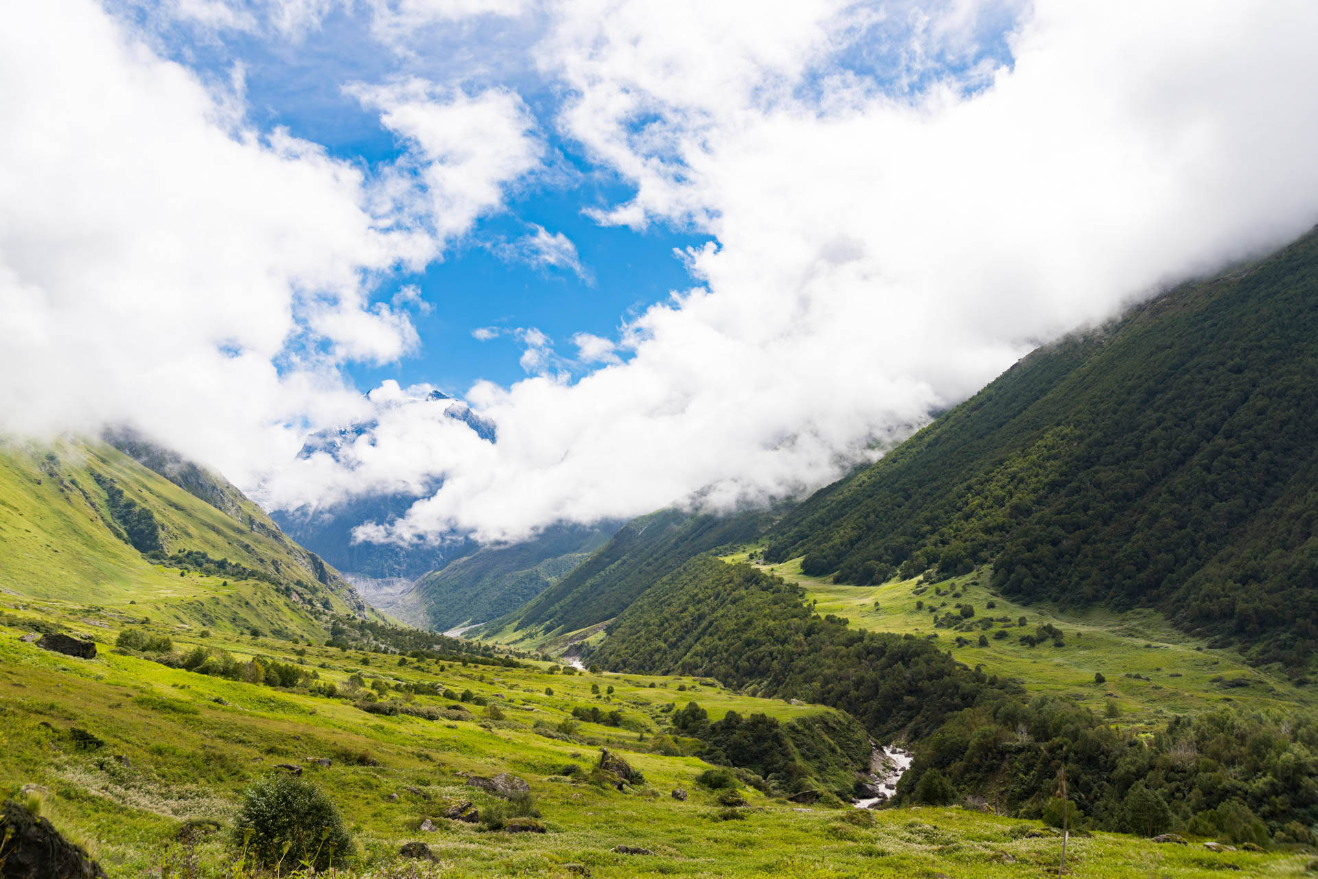 What Is The Best Time To Visit Valley of Flowers - What Nobody Tells You