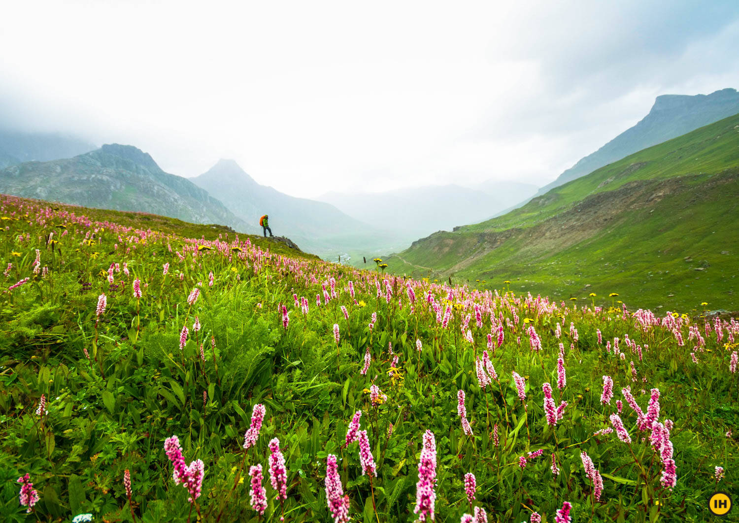 8 Surprising Eye-Openers About Day 4 Of Kashmir Great Lakes Trek