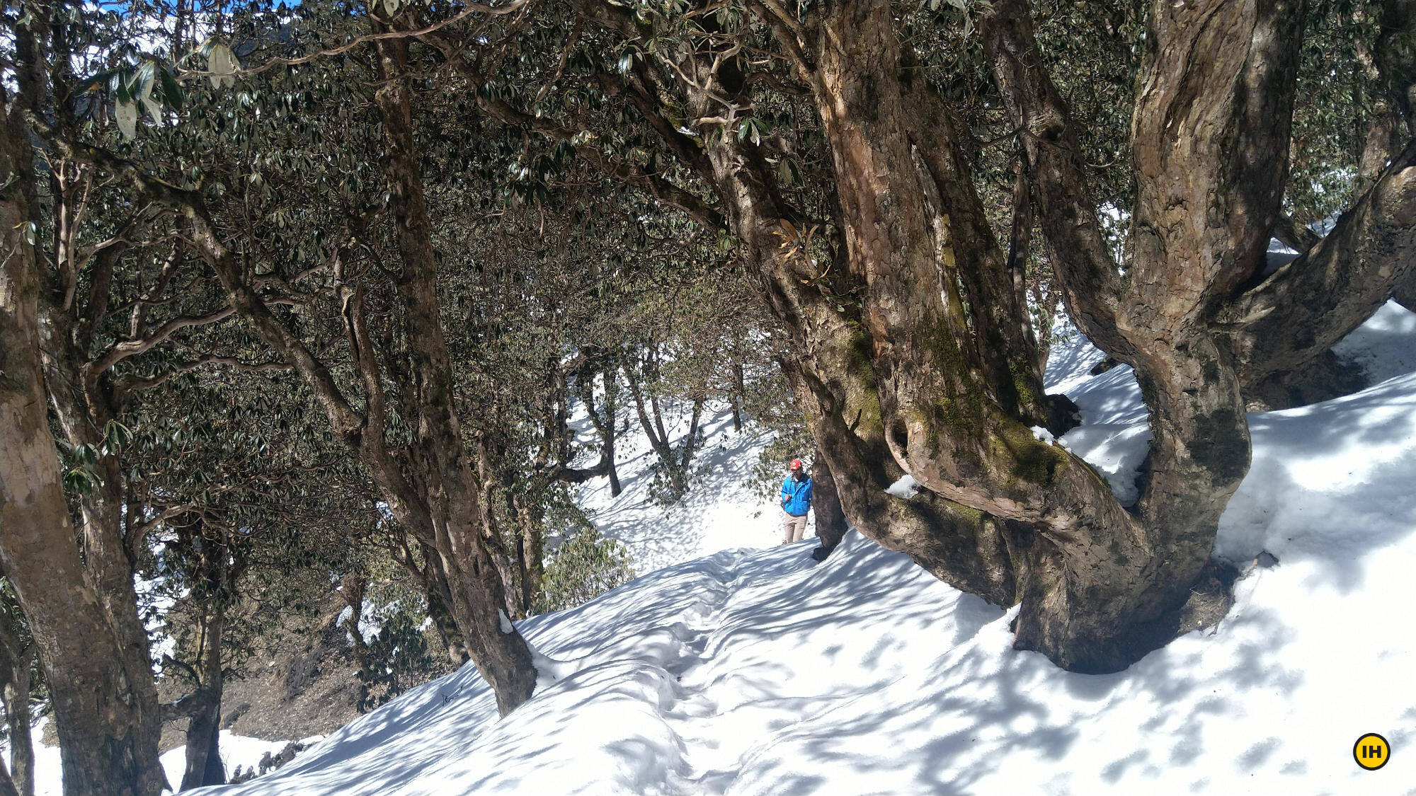 Kugina Pass Trek