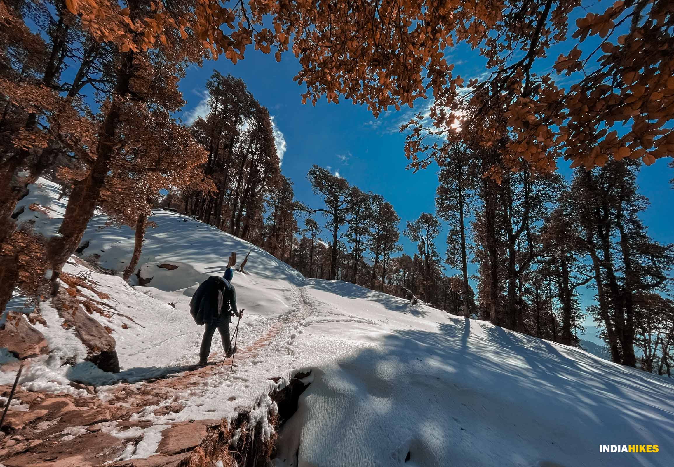 21 real photos of Kedarkantha that show you how the trek looks in ...