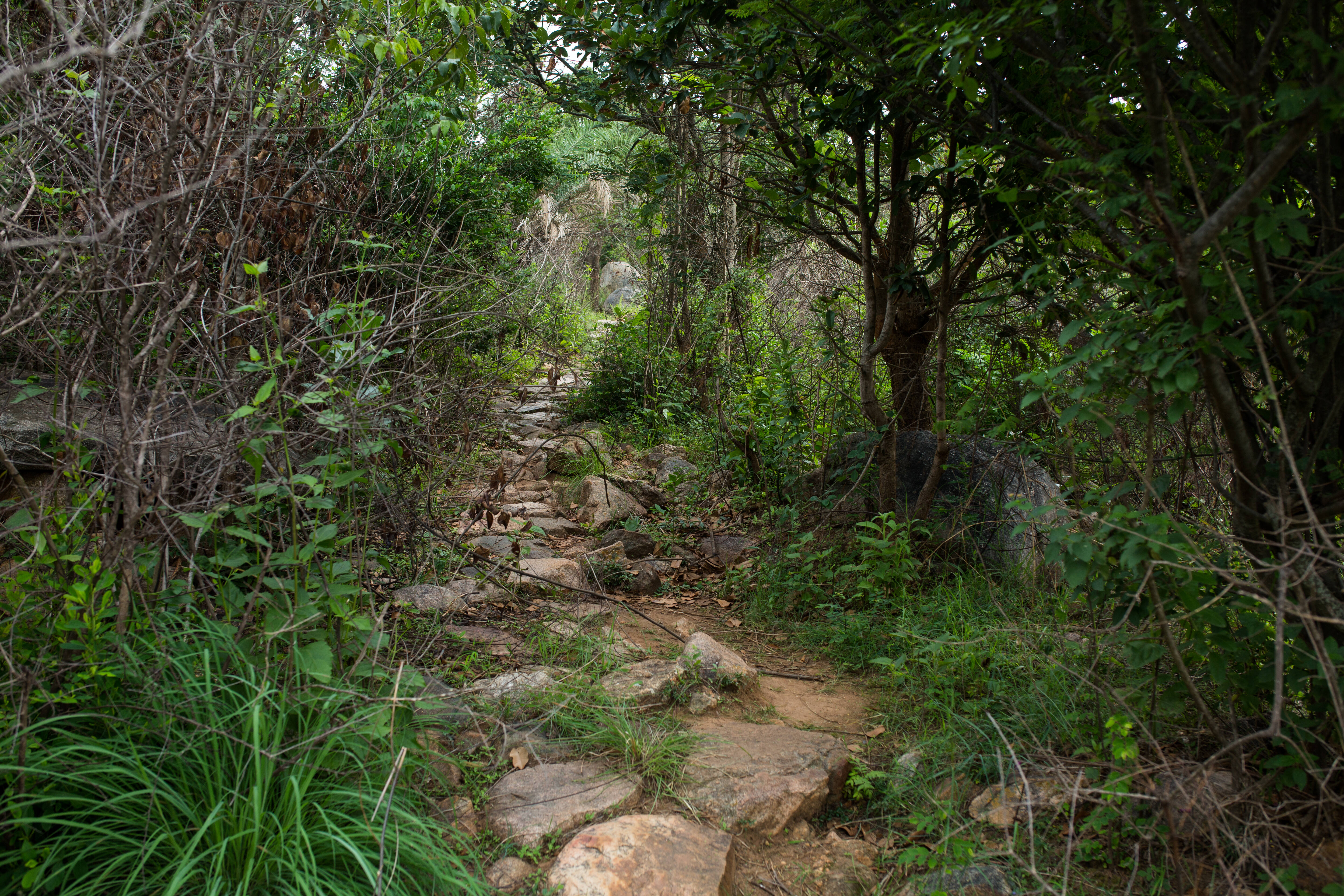 Channagiri / Channakeshava Trek