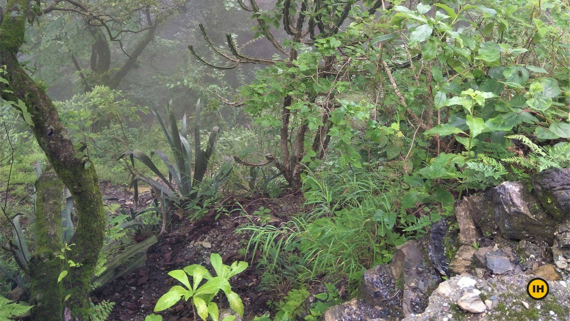 Kipling Trail Trek - The Original Trail from Dehradun to Mussoorie ...