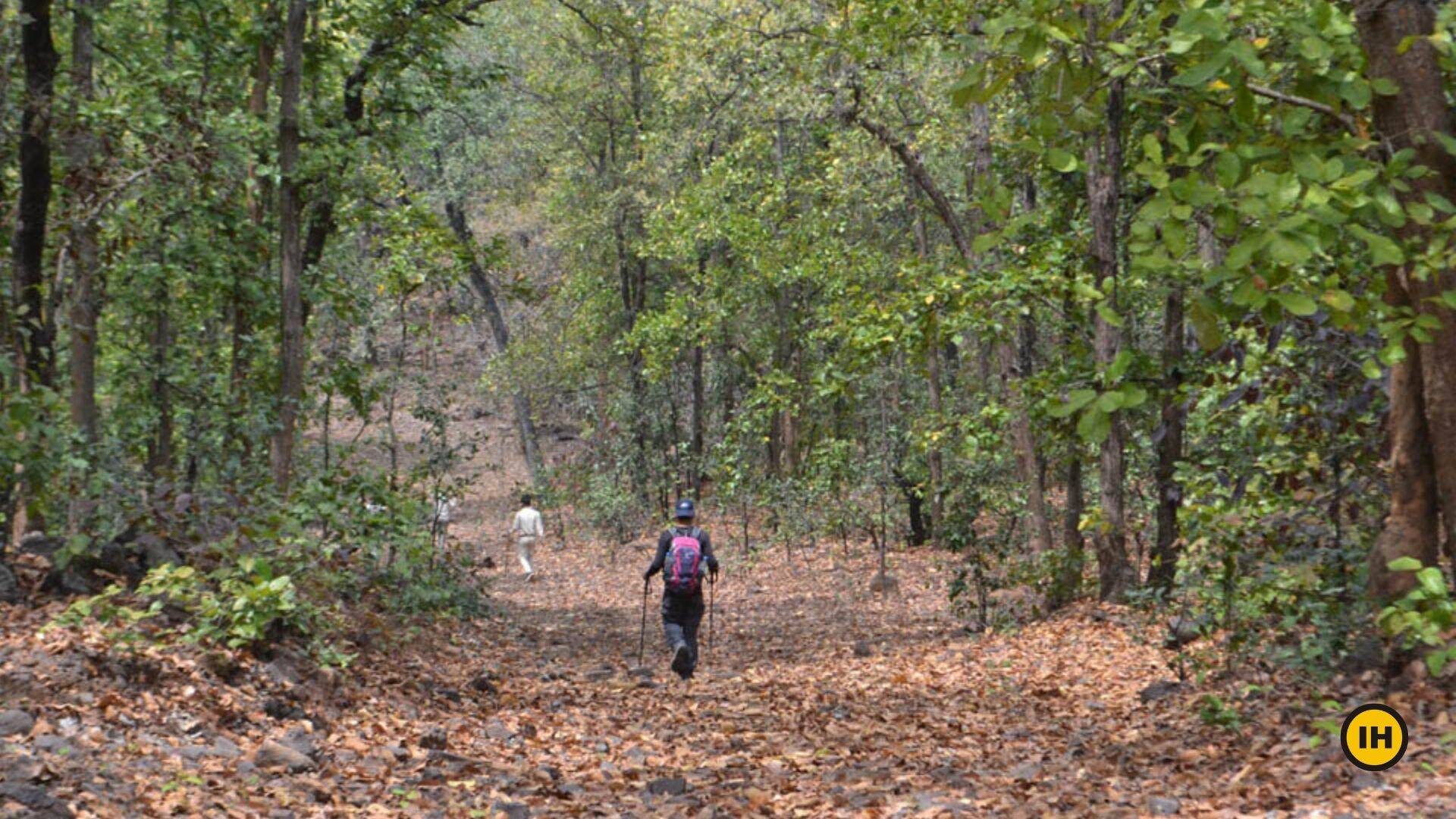 Jungle Treks Finally Opened in Chhattisgarh and Madhya Pradesh!