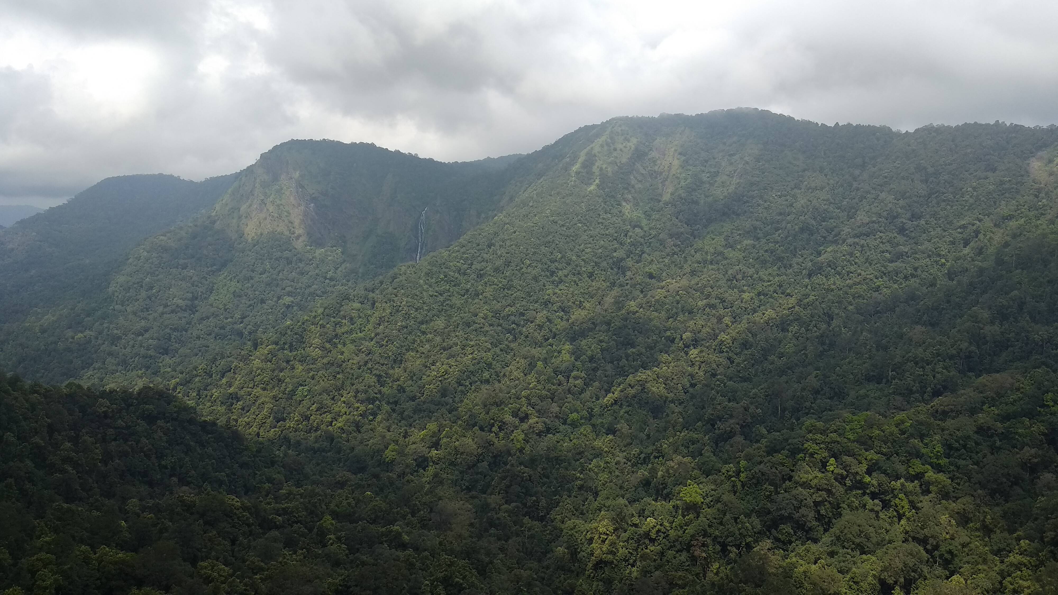 Narasimha Parvatha Trek - Trek to the highest peak in Agumbe