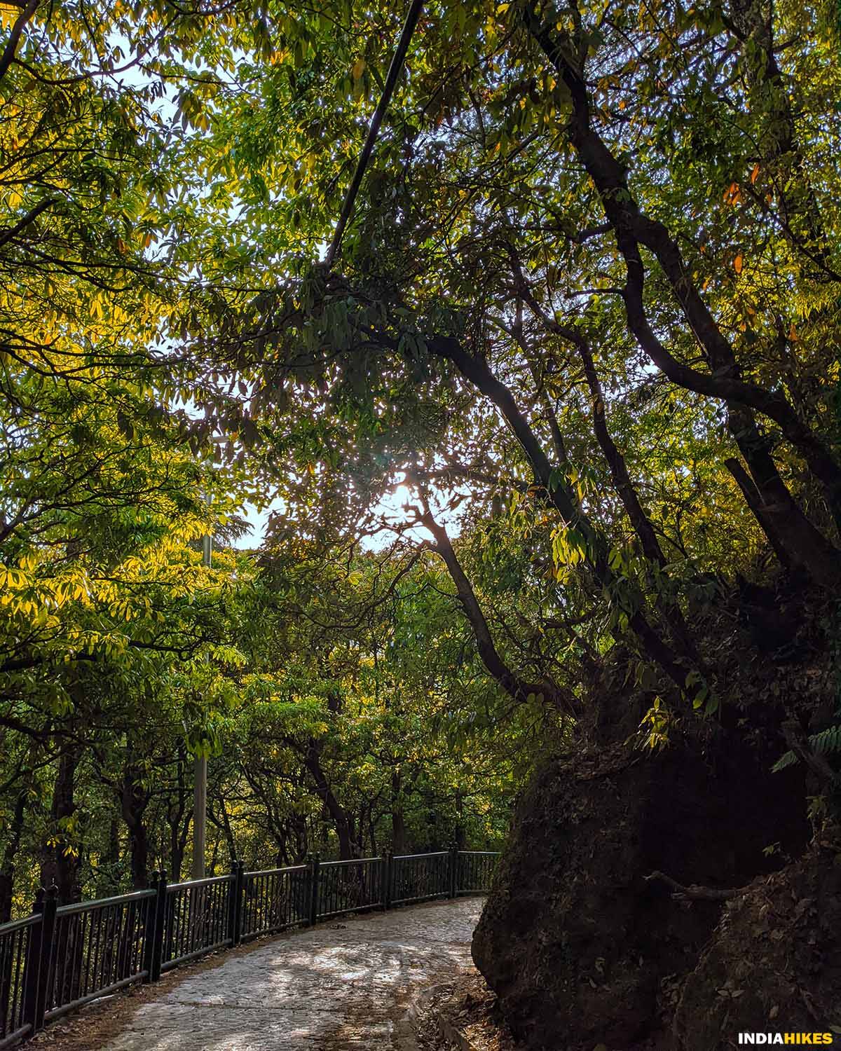 George Everest Peak Trek - Trek to one of the Most Historical Peaks ...