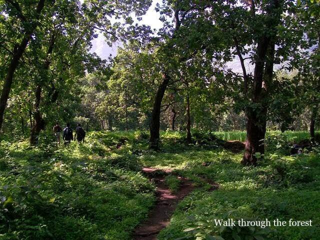Ahupe Ghat Trek