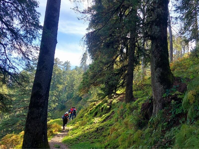 Deoban Weekend Trek 2024 - Indiahikes