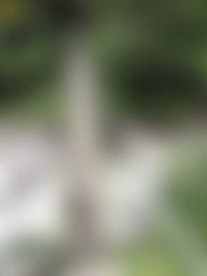 Kalpeshwar Rudranath Trek - A trek to the two of Panch Kedar temples