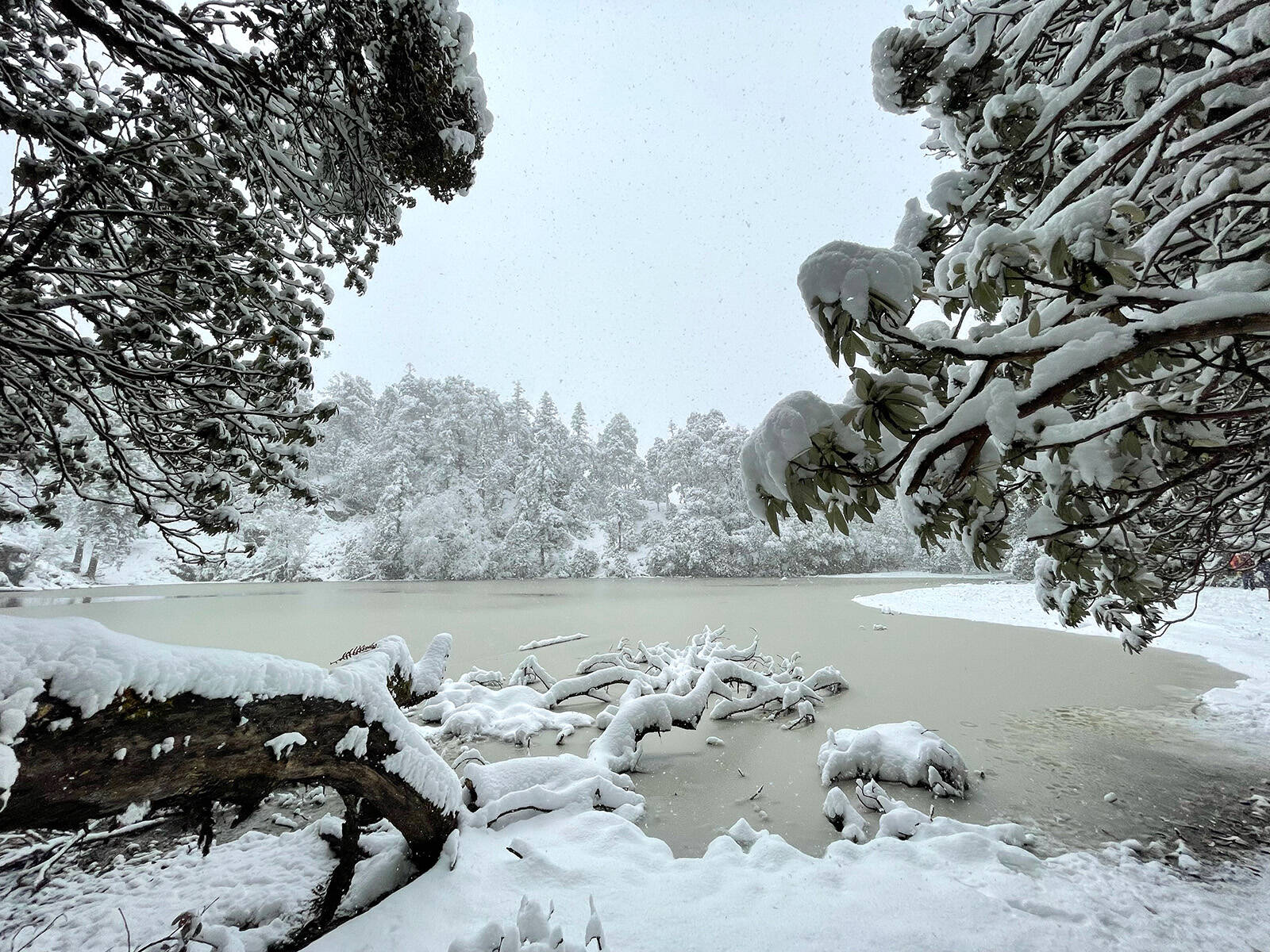 Winners Announced - Trek Photographer of the Month December 2021
