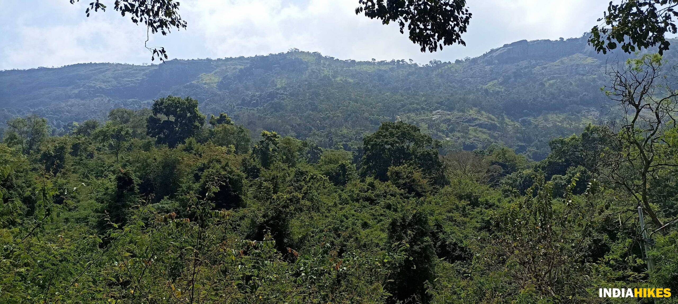 Sathuragiri Hill Trek