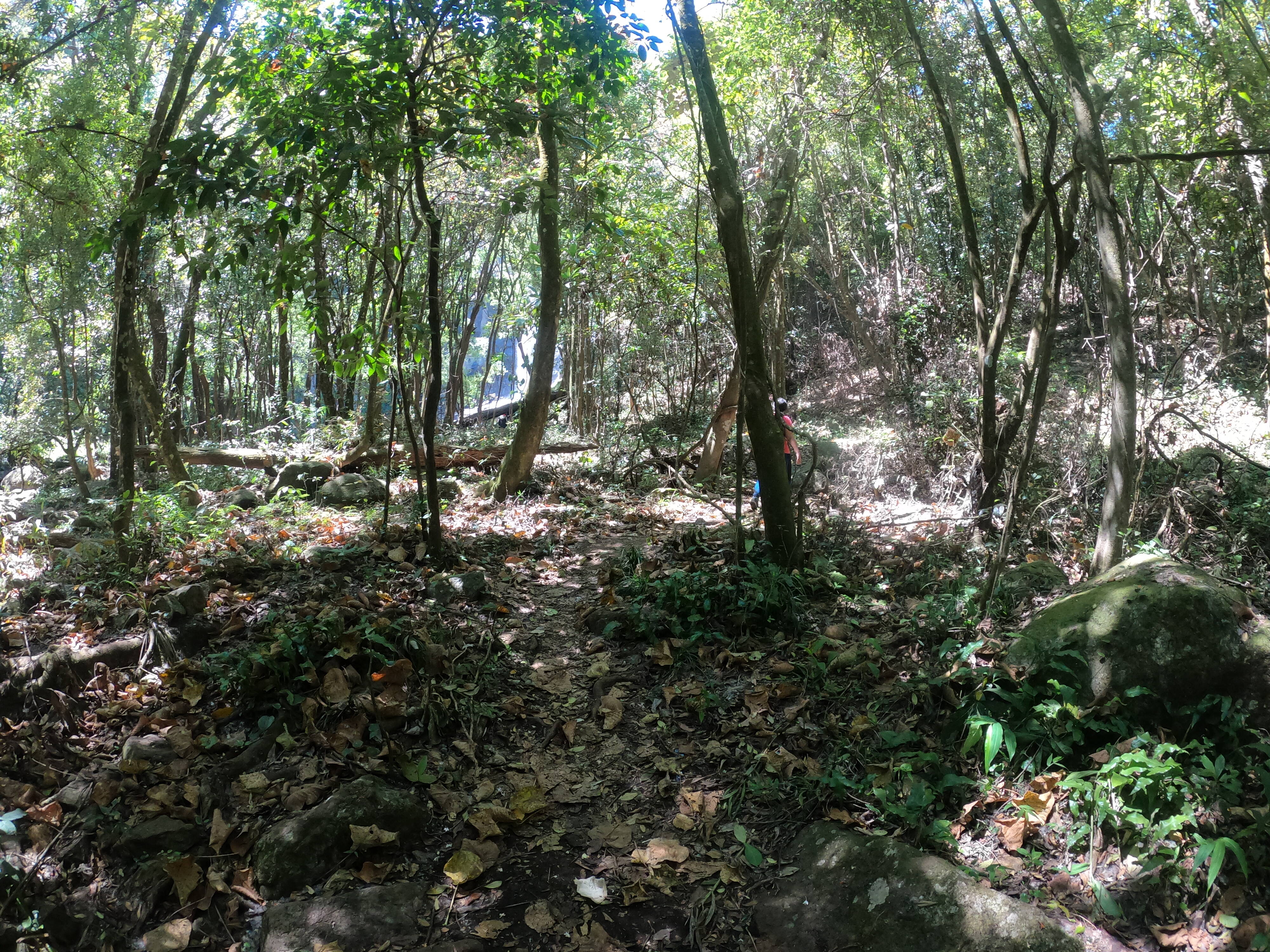 Thoothor Waterfall- Trek to a Hidden Gem near Kodaikanal