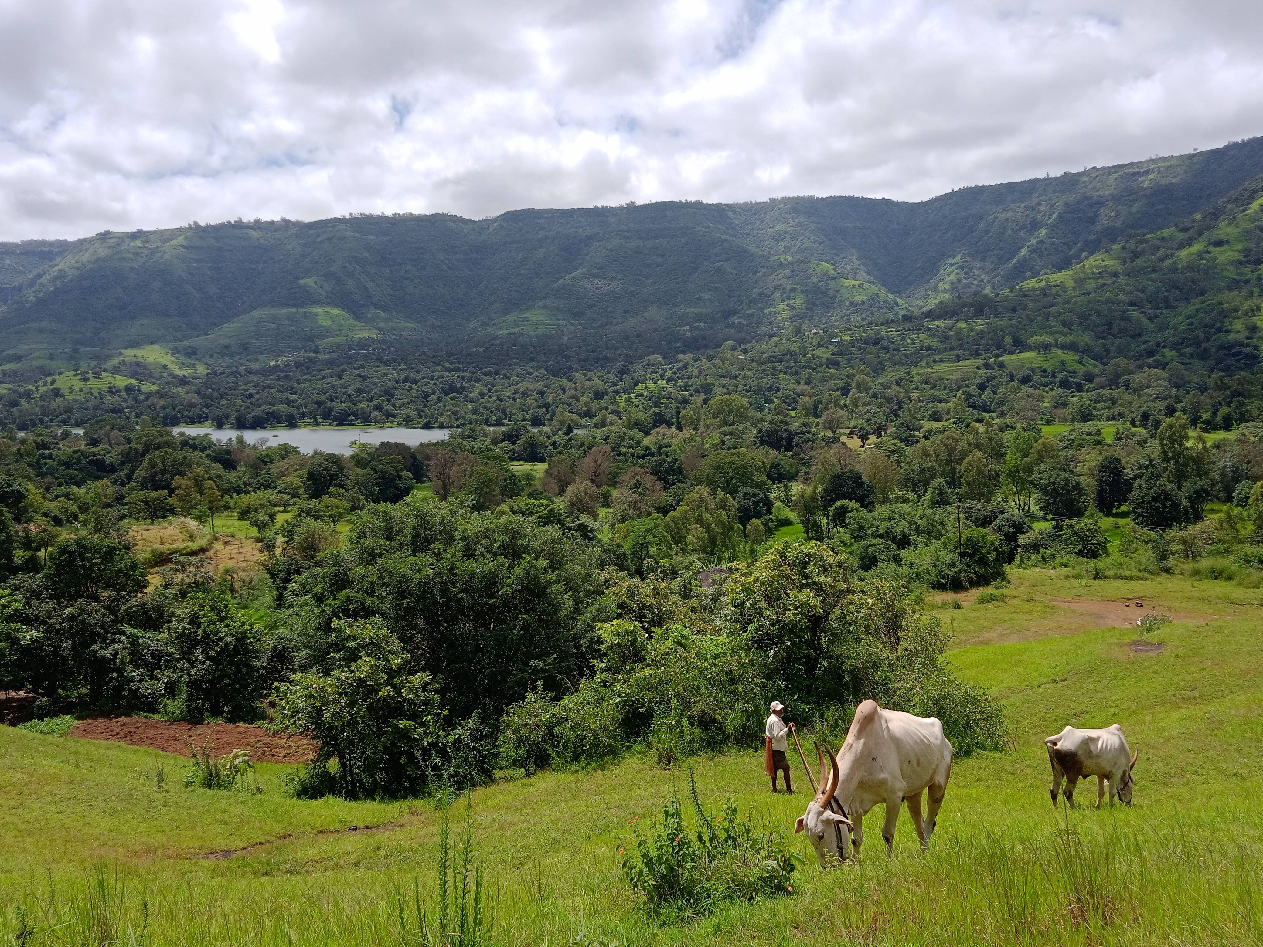 Kamalgad Trek - Off-beat Fort Trek near Pune