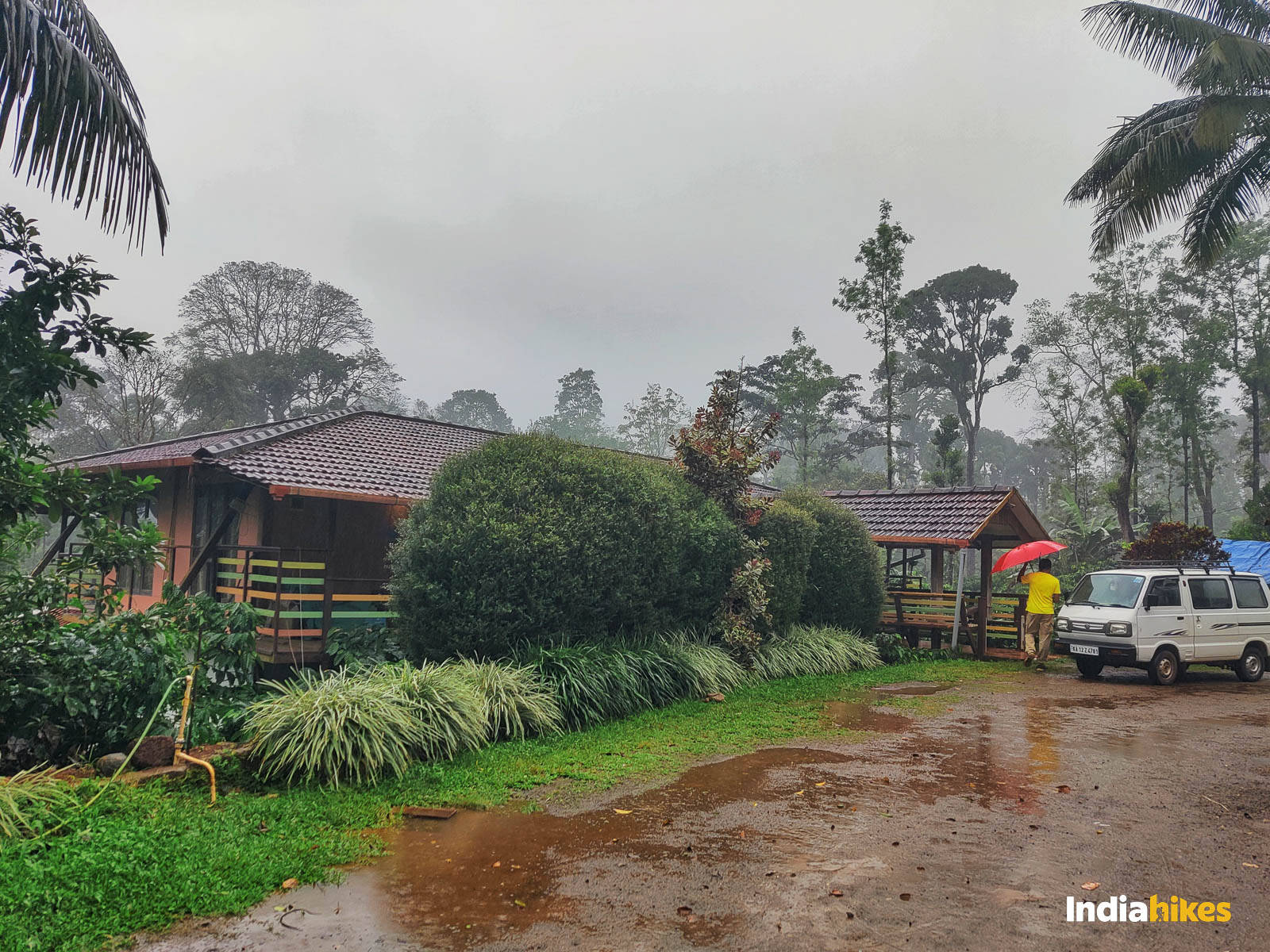 Coorg Nelji Hill Trek - A Hidden Trek Amidst Coorg's Iconic Forests and ...