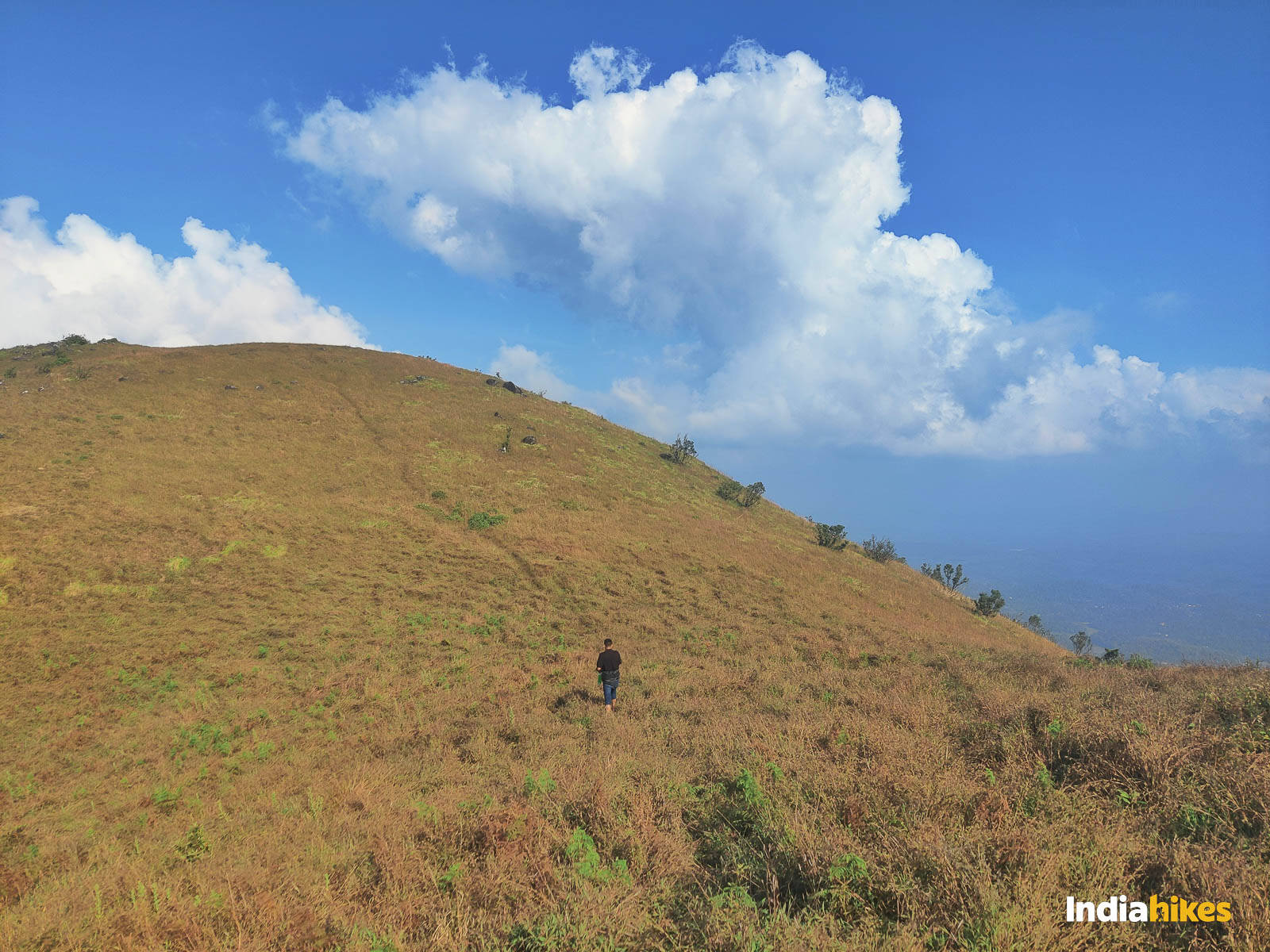 Coorg Nelji Hill Trek - A Hidden Trek Amidst Coorg's Iconic Forests and ...